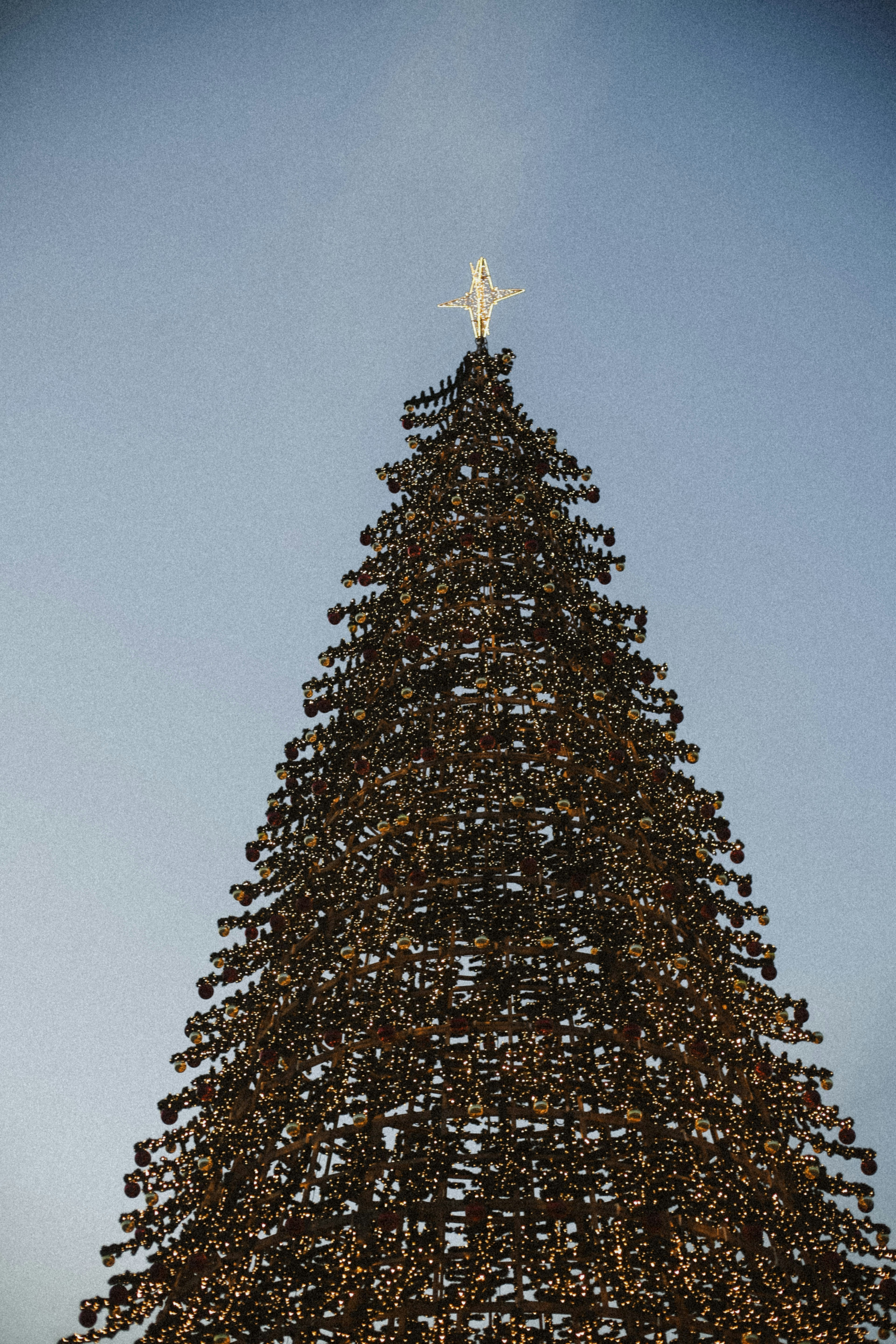 Tall Christmas tree densely packed with lights reaches to a star on top; the clear evening sky provides a simple backdrop. Logo-like arrangement of lights suggests a festive display or public installation.