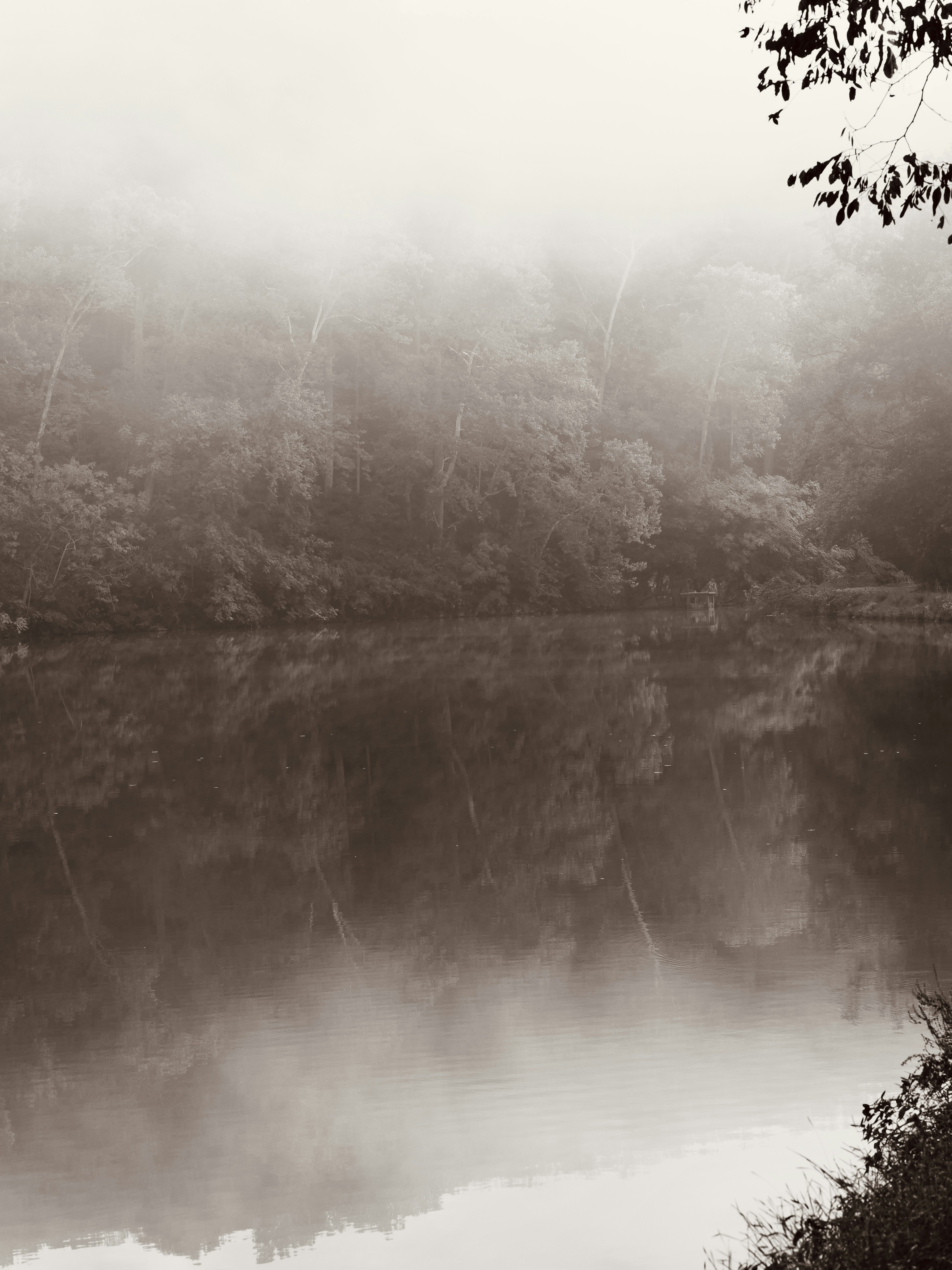 Mist over the glassy lake: a quiet dawn in sepia tones