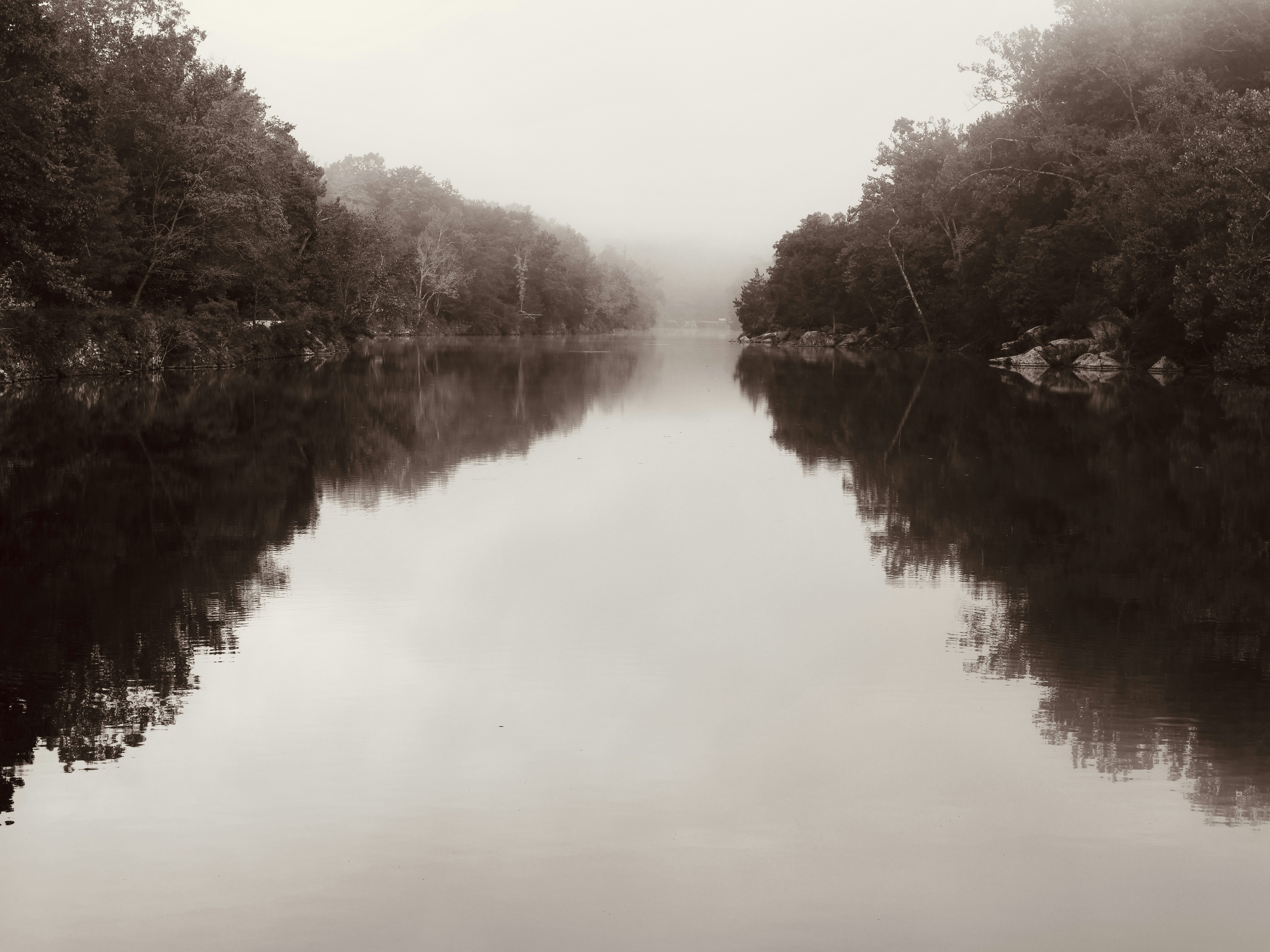 Mist over a Symmetrical River: Echoes of Quiet Forest