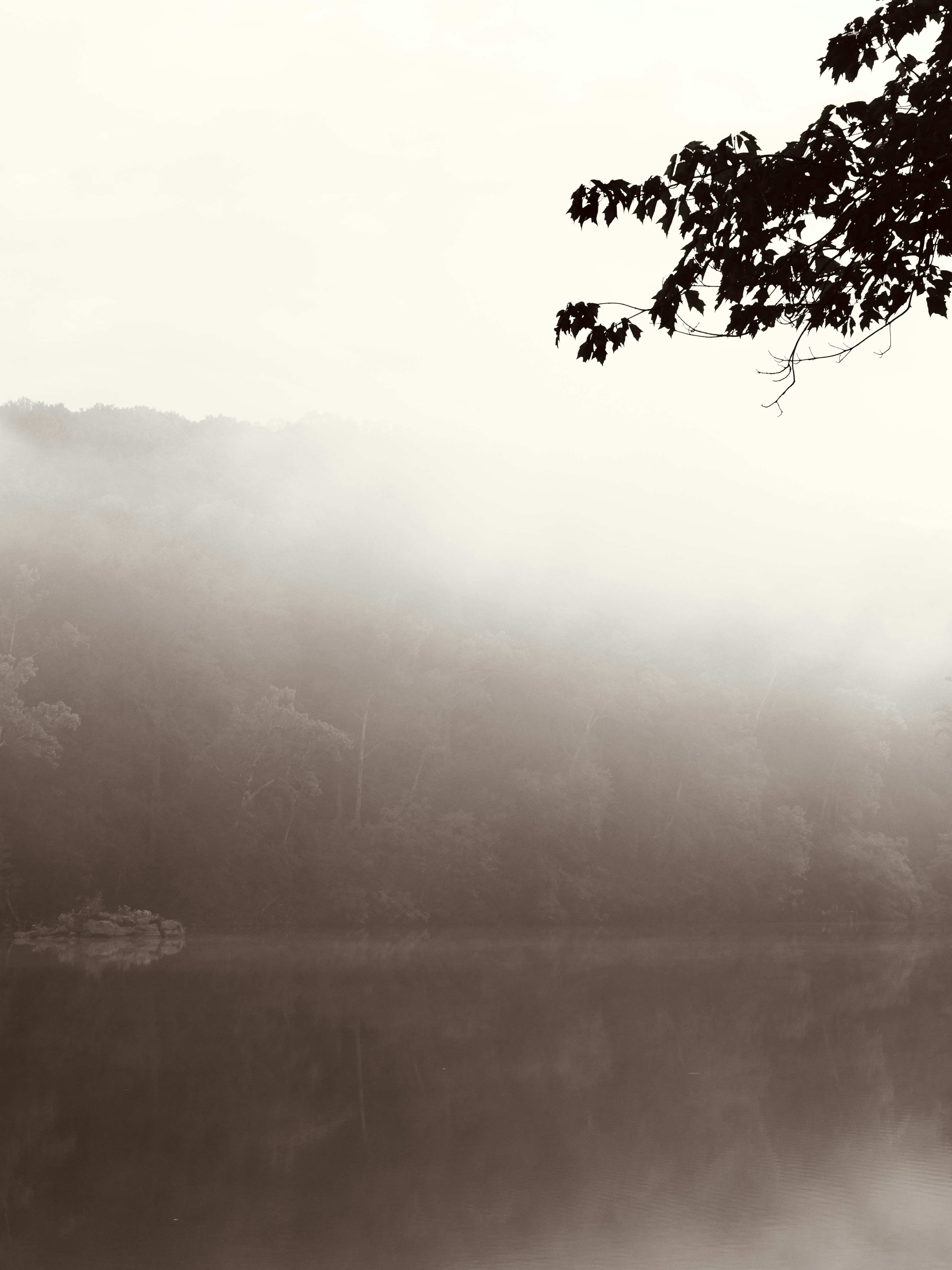 Mist over the lake: a quiet veil of dawn