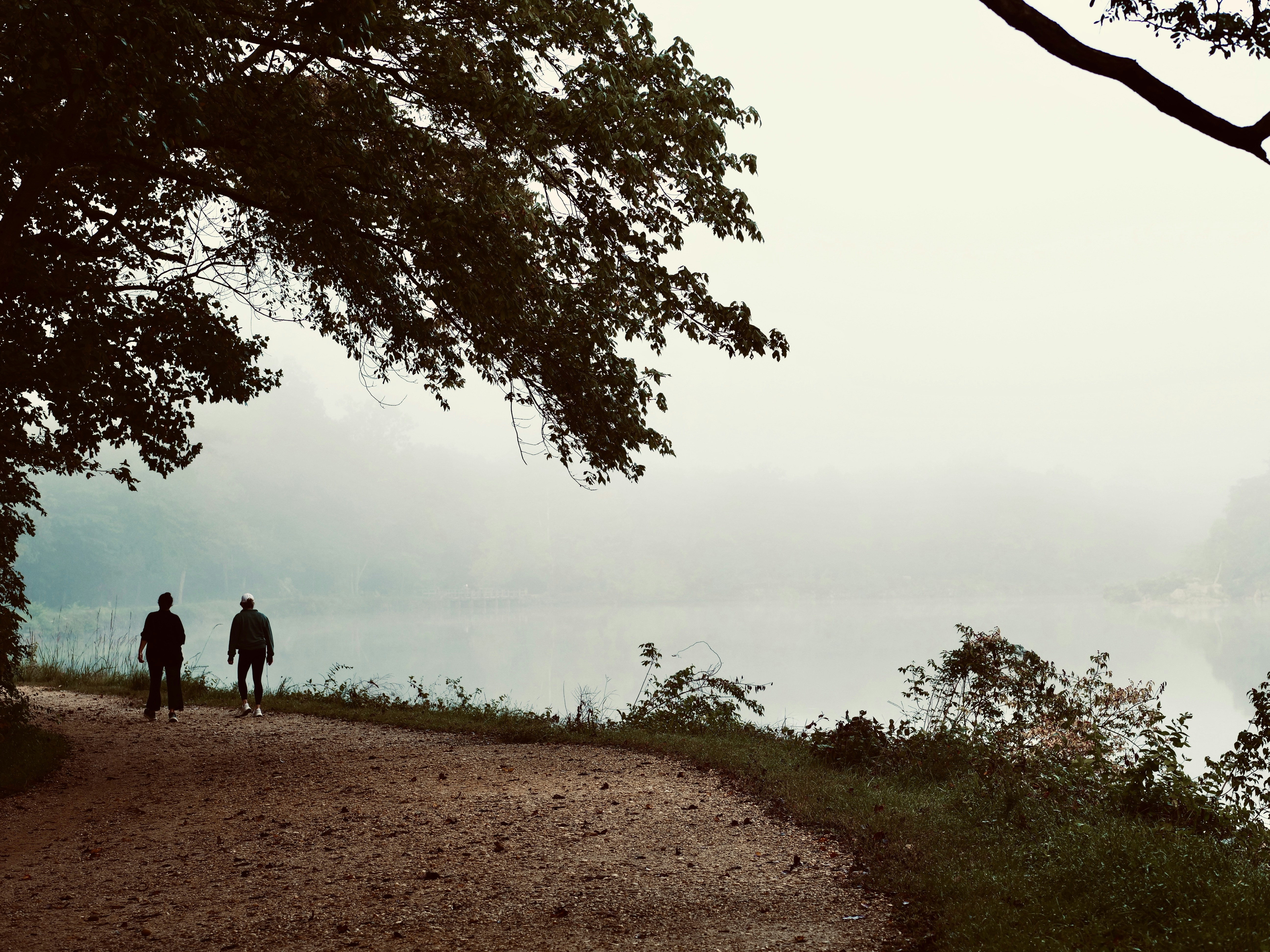 Hushed Trail by the Lake at Dusk