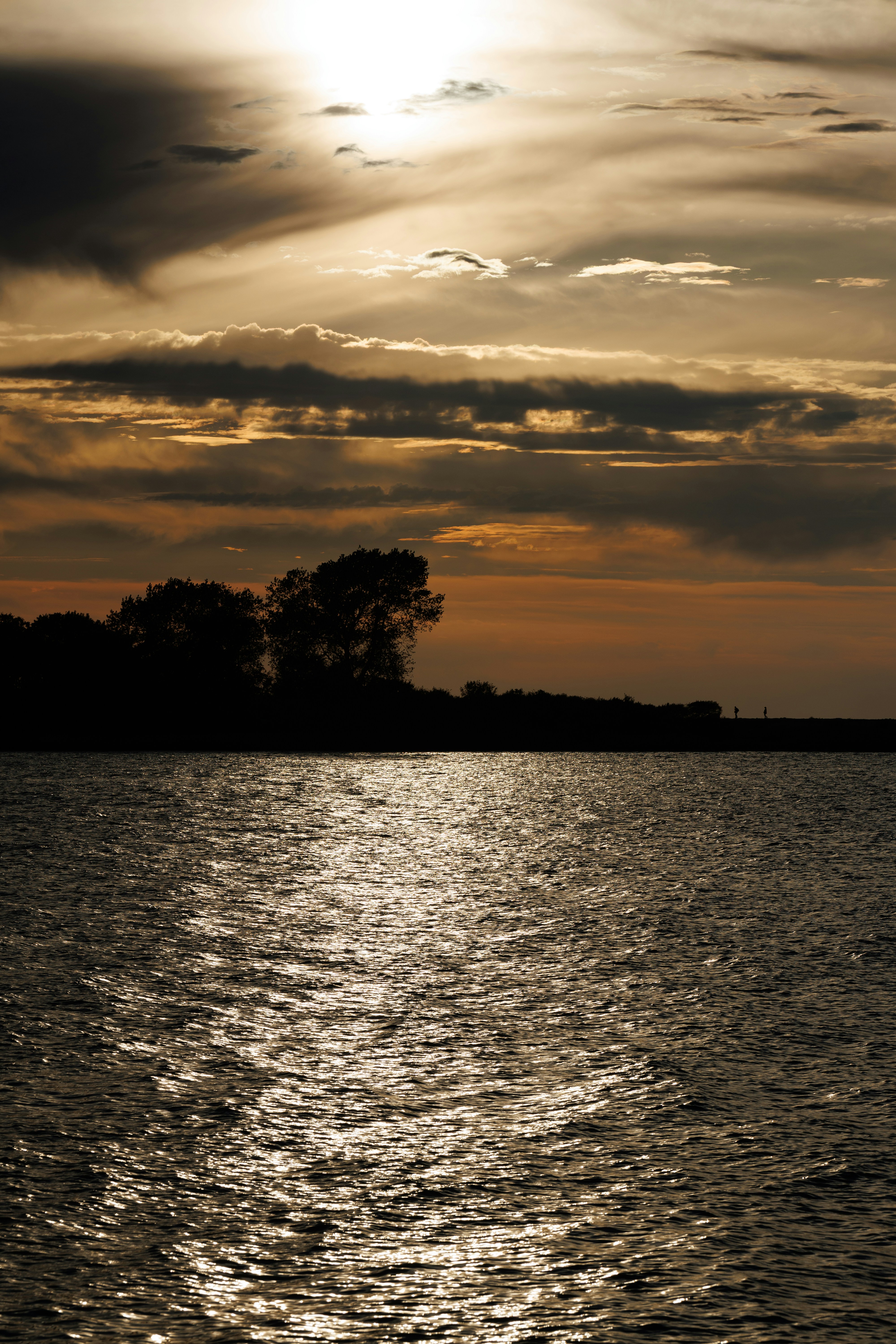 Silhouetted Trees at Sunset Over Quiet Water