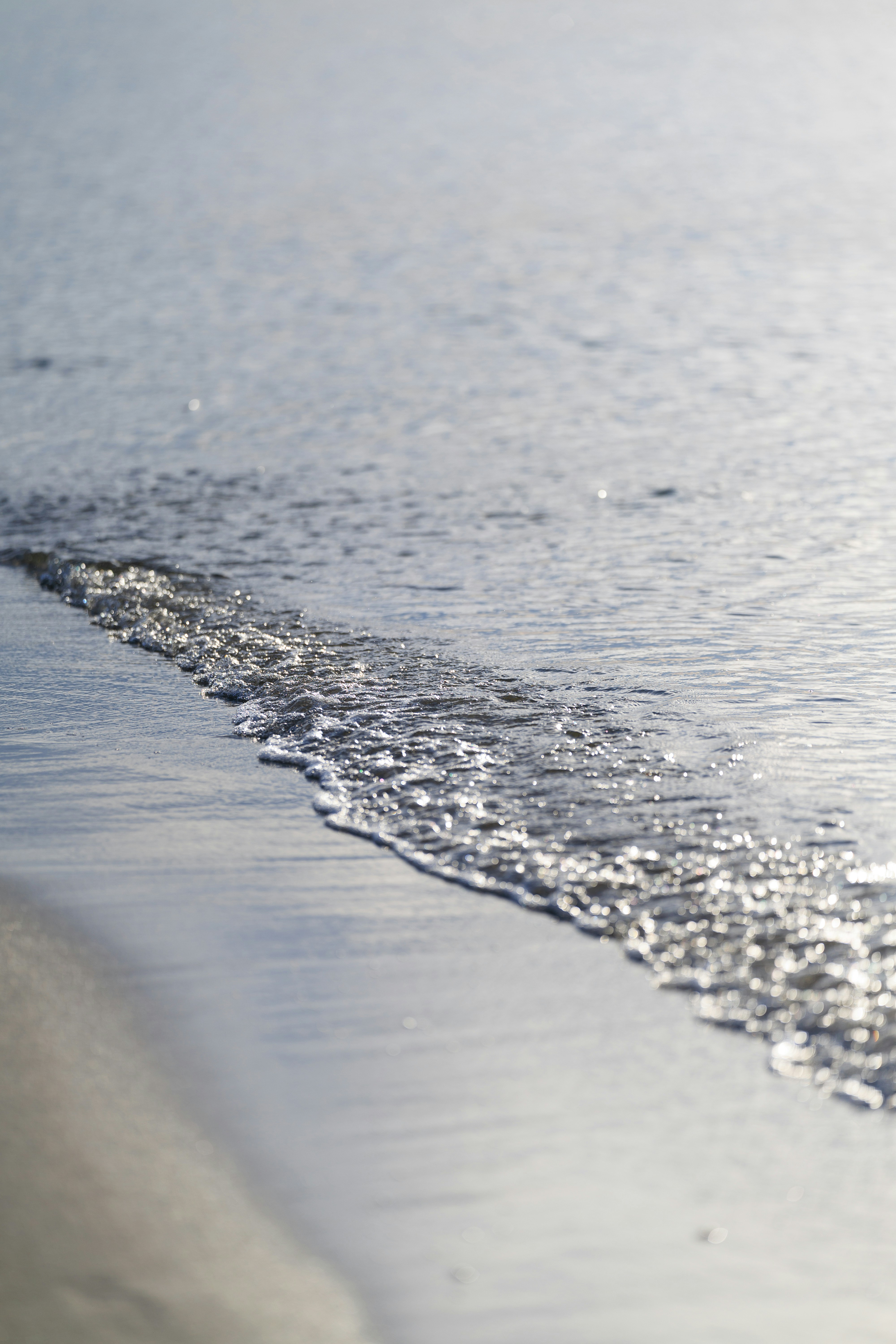 Gentle Shoreline: Foamy Edge and Quiet Waves