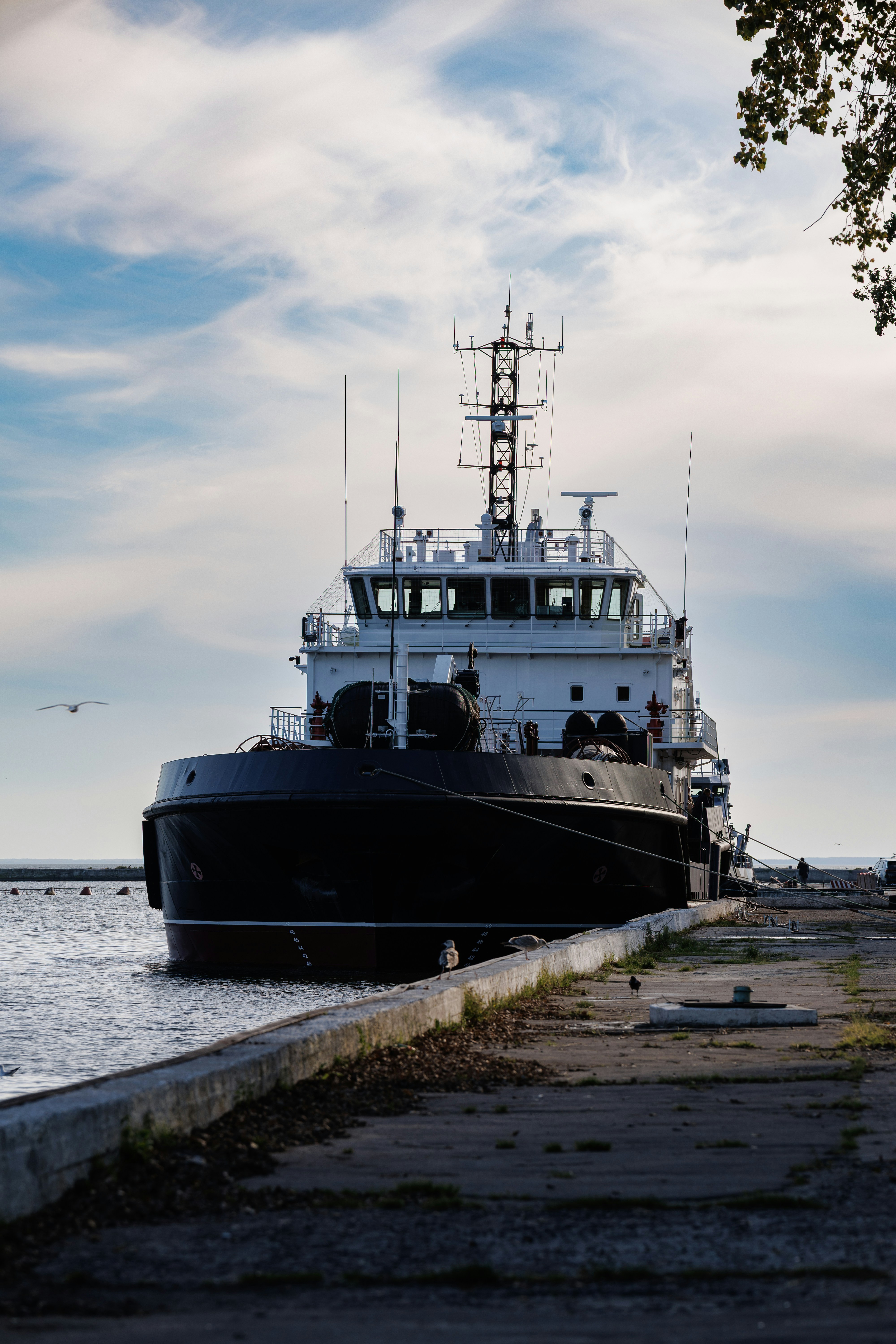 Dockside Vessel: A Black and White Tug Reaching the Horizon