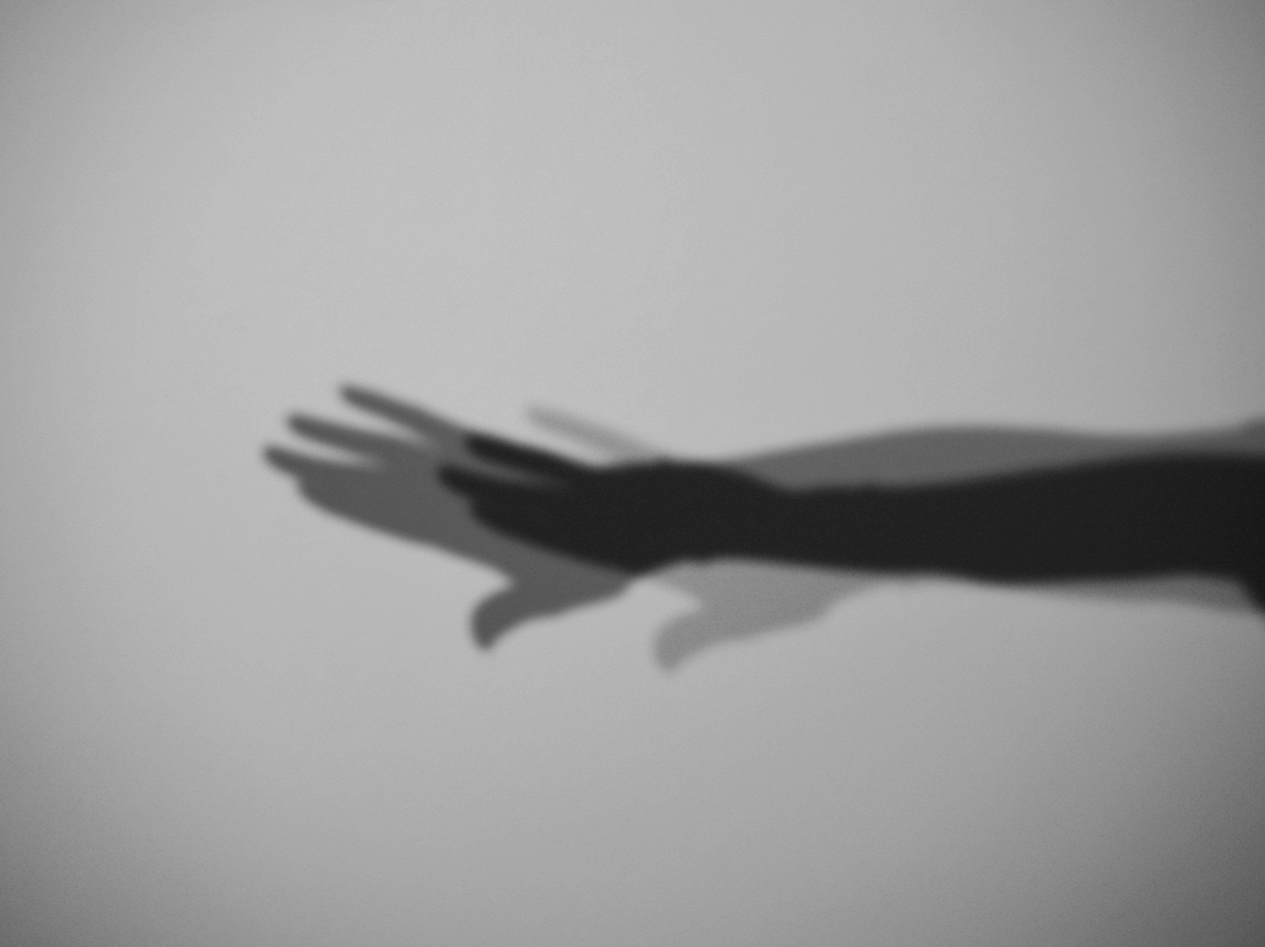 Shadowed Hands in Motion: A Soft, Abstract Gesture