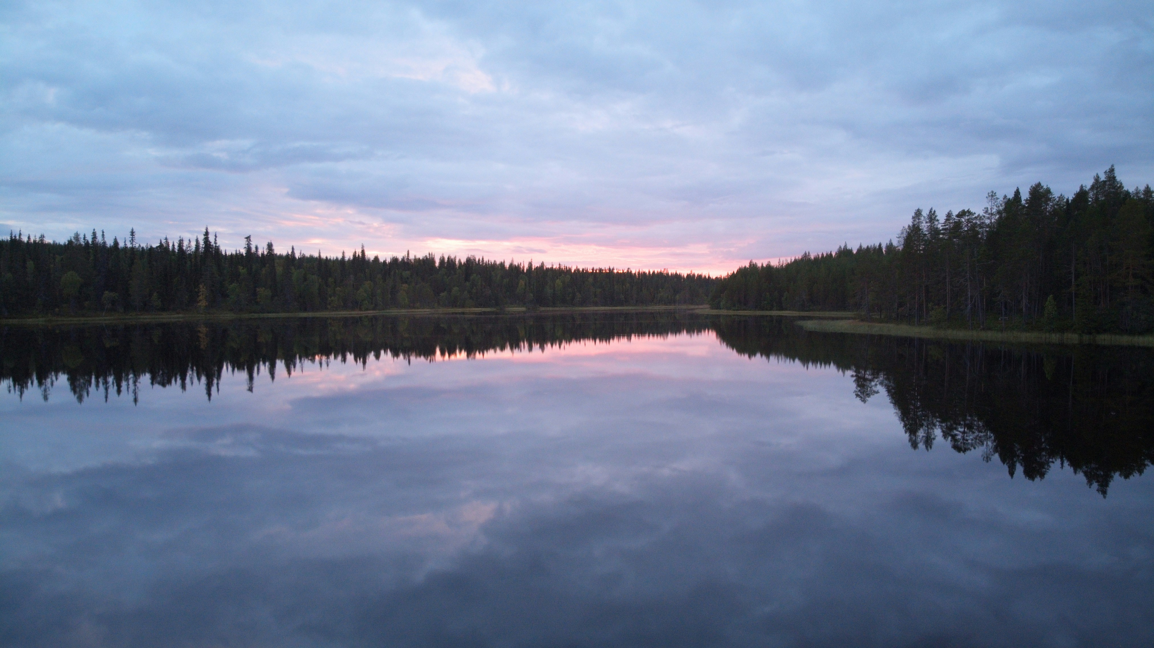 Dawn on a Glassy Lake: Silent Pines Mirror the Sky