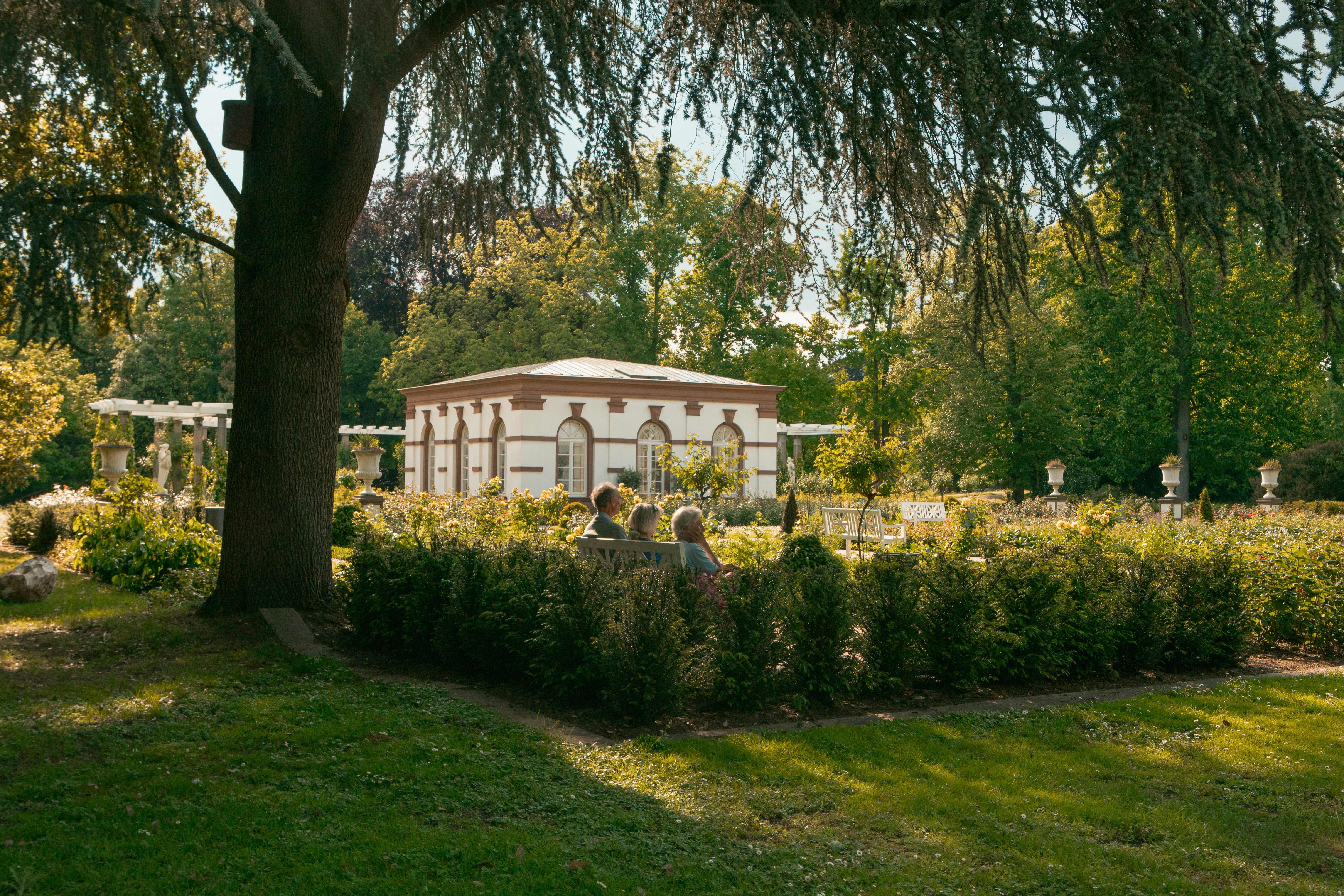Sunlit Conservatory in a Quiet City Garden