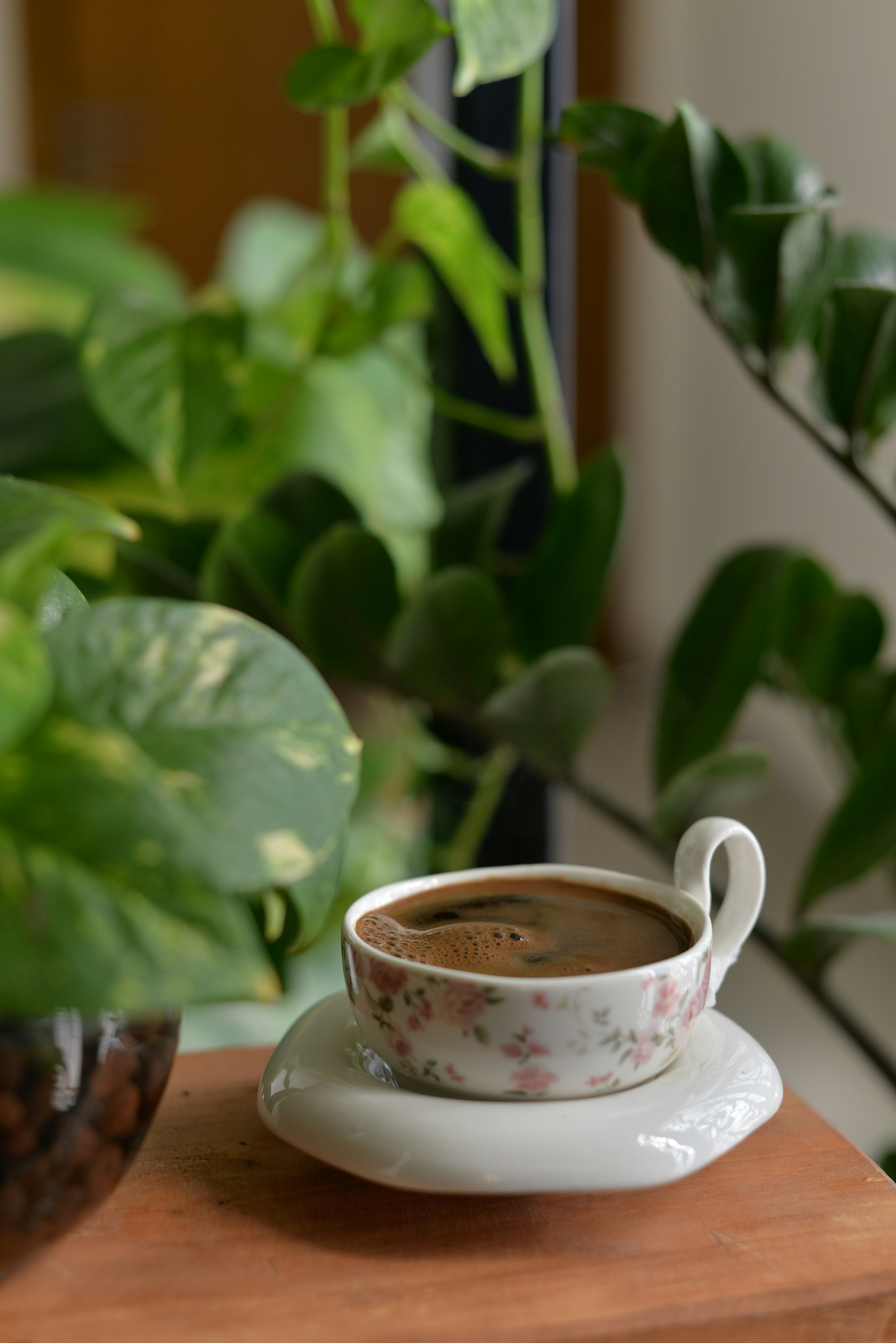 A delicate floral teacup rests on a white saucer atop a wooden table, surrounded by trailing green houseplants near a window.