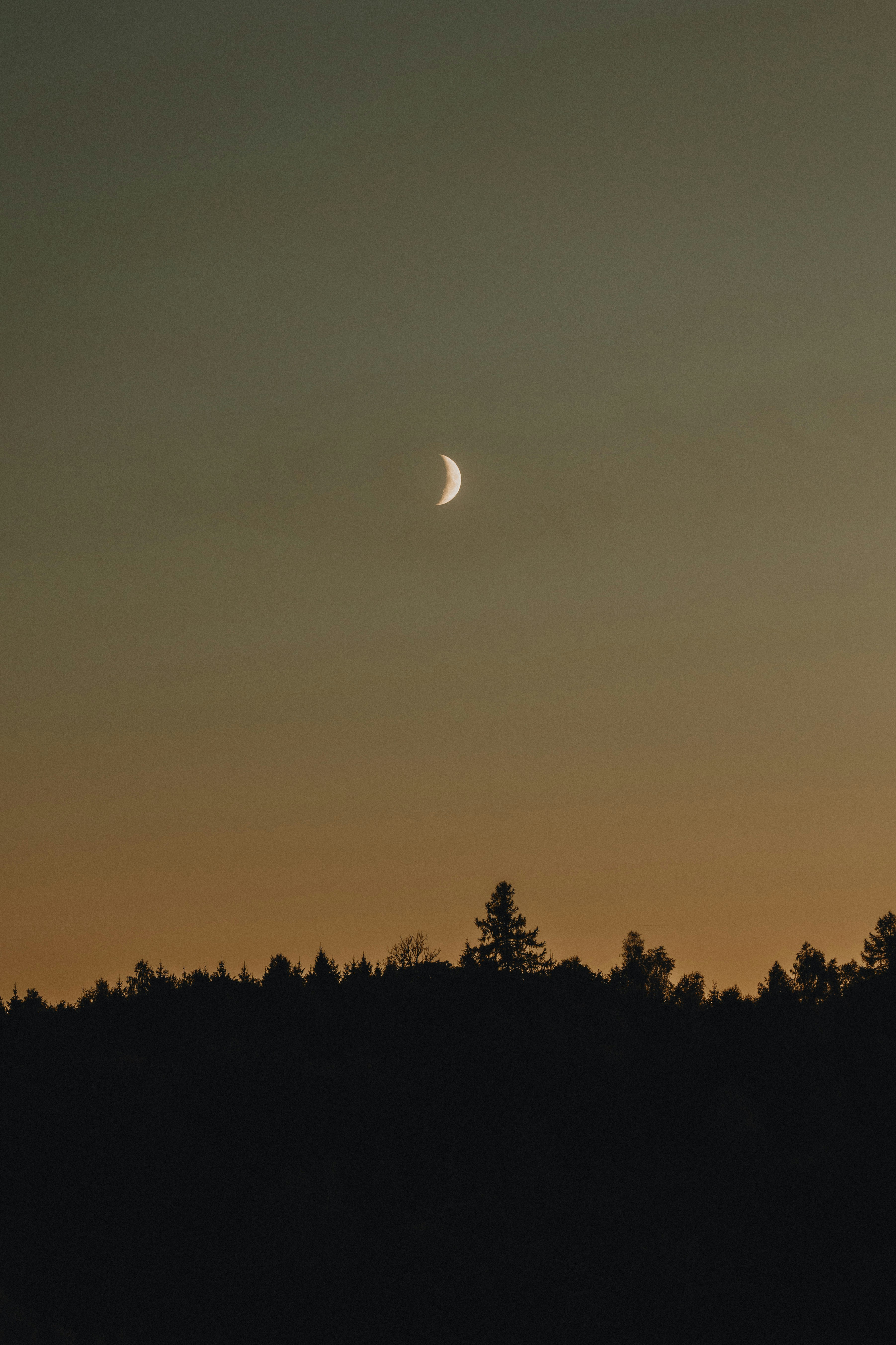 Moonlit Crest: Crescent Above the Silent Ridge at Dusk