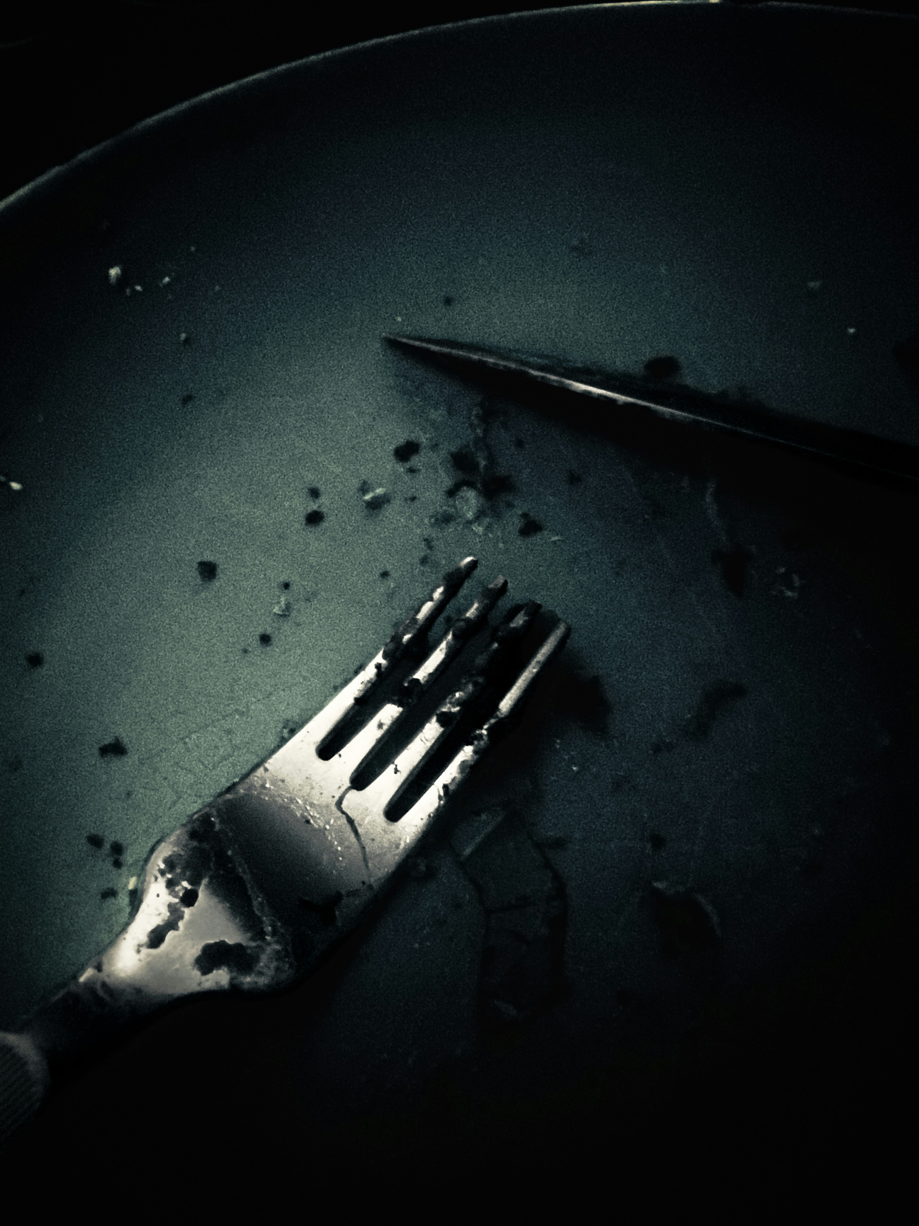 Midnight Standoff: a Bite of Silence on a Charred Plate