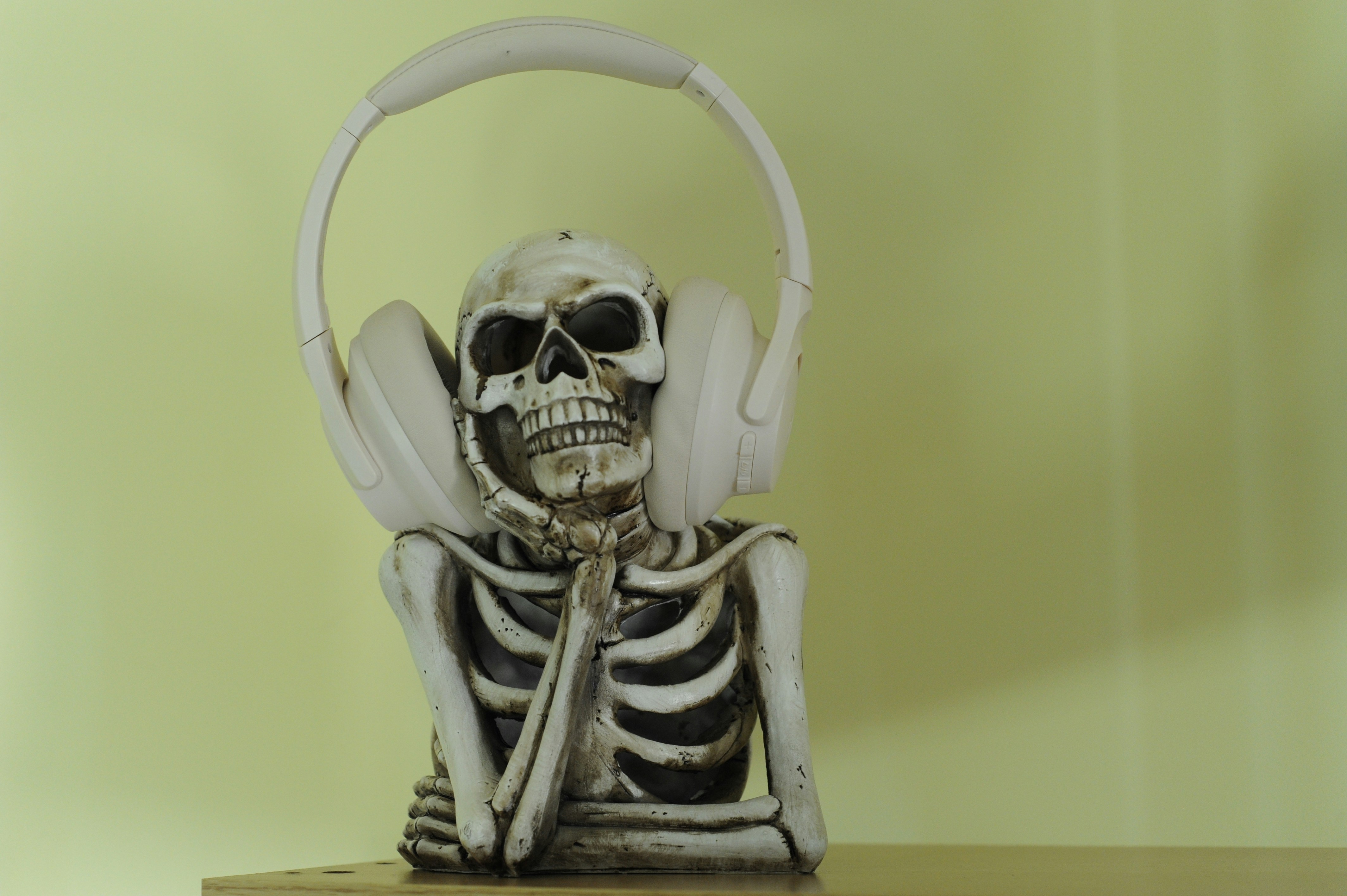 Headphones on a Skeleton: Quiet Contemplation on a Shelf