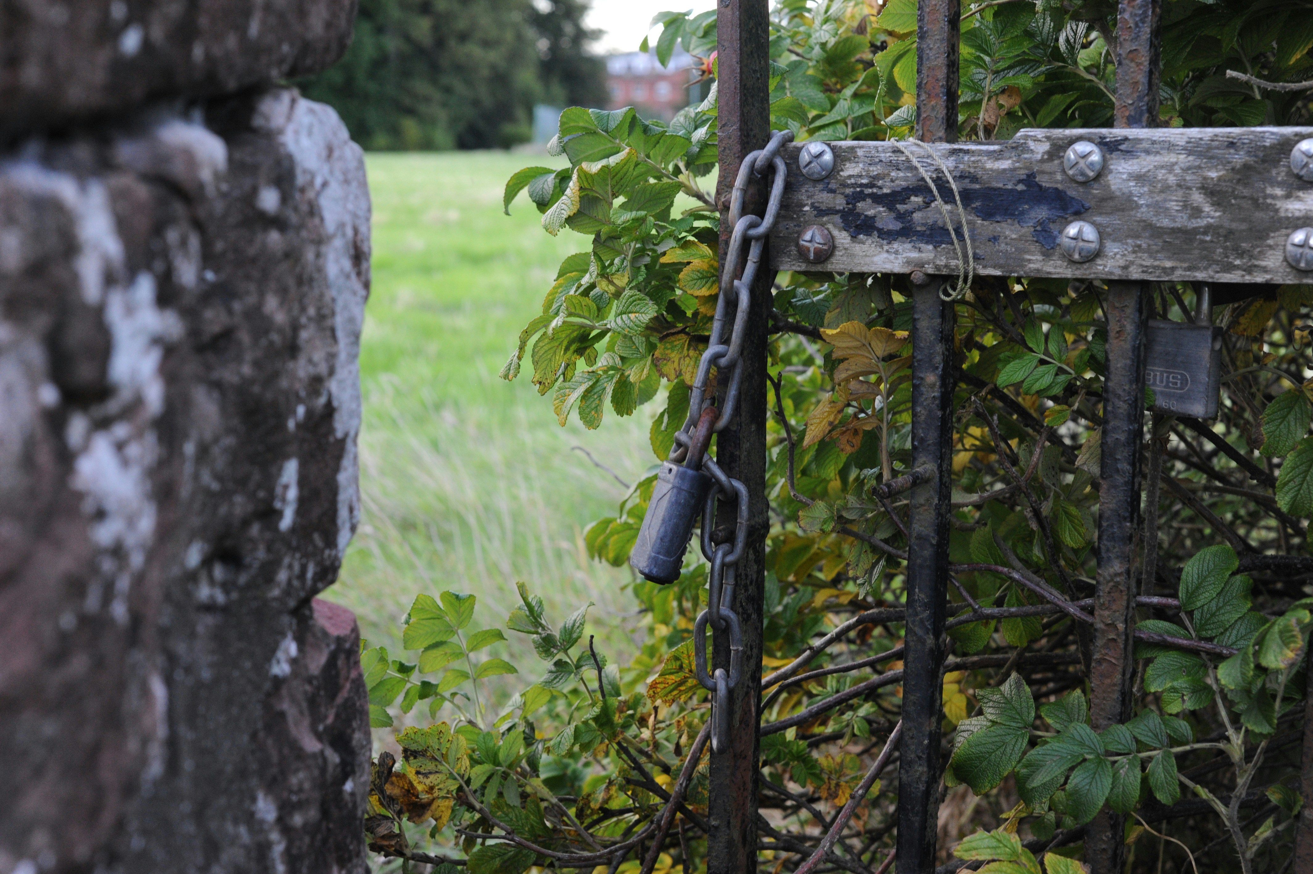Locked Gate, Quiet Garden: Chains and Weathered Wood