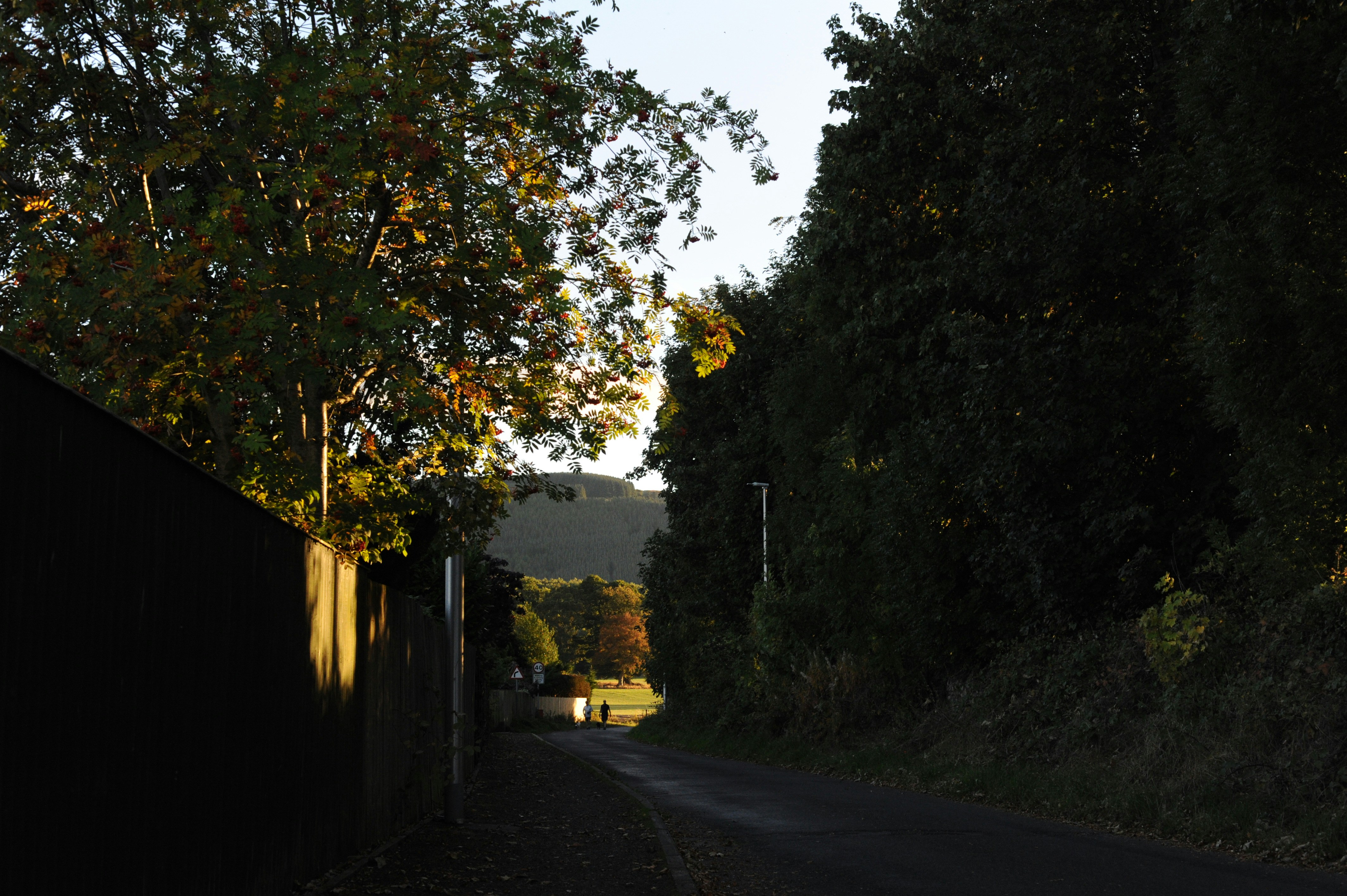 Distant Light at the Lane: A Quiet Sunset Walk Down a Shadowed Road