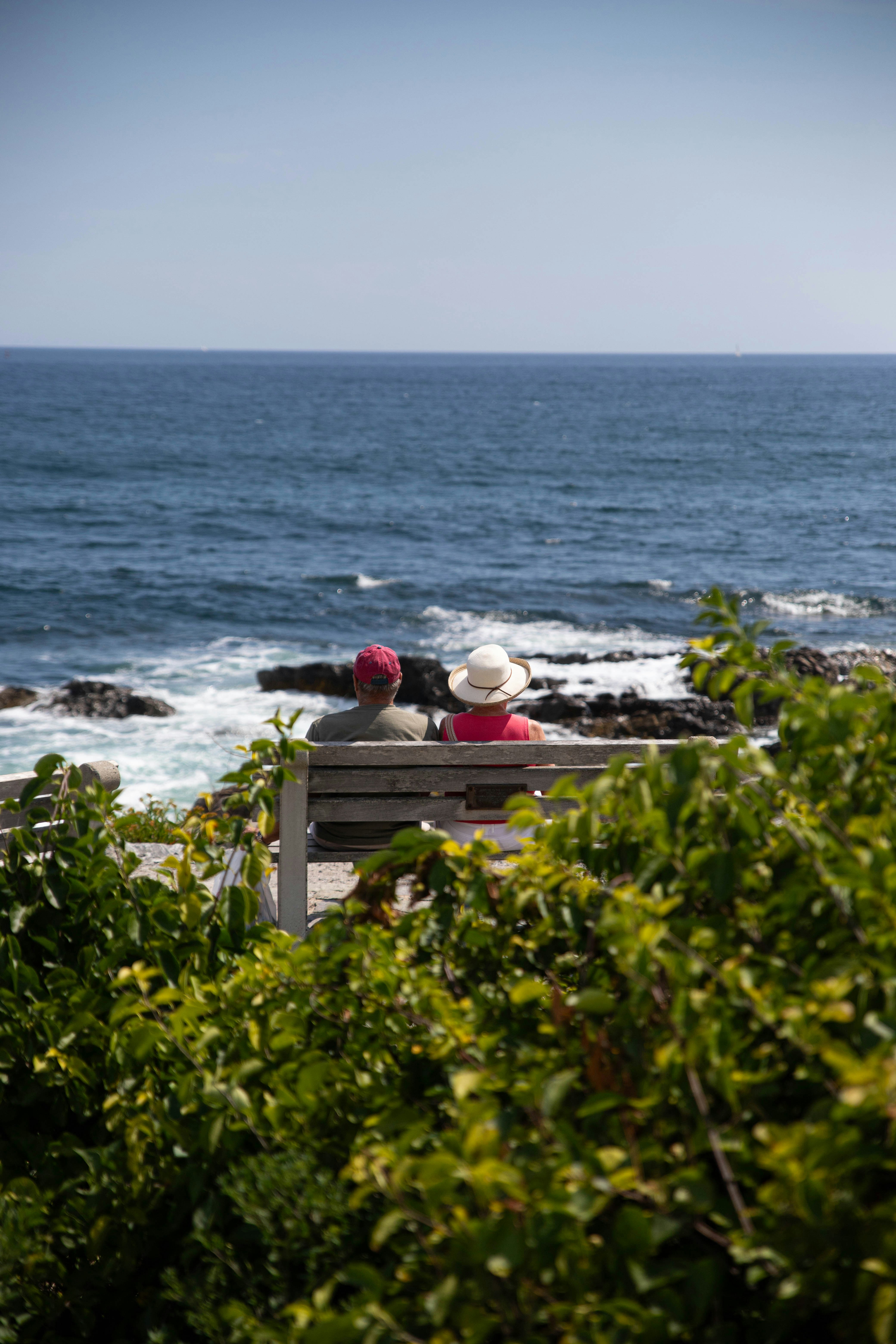 Sea View Bench: Companions in Quiet Conversation