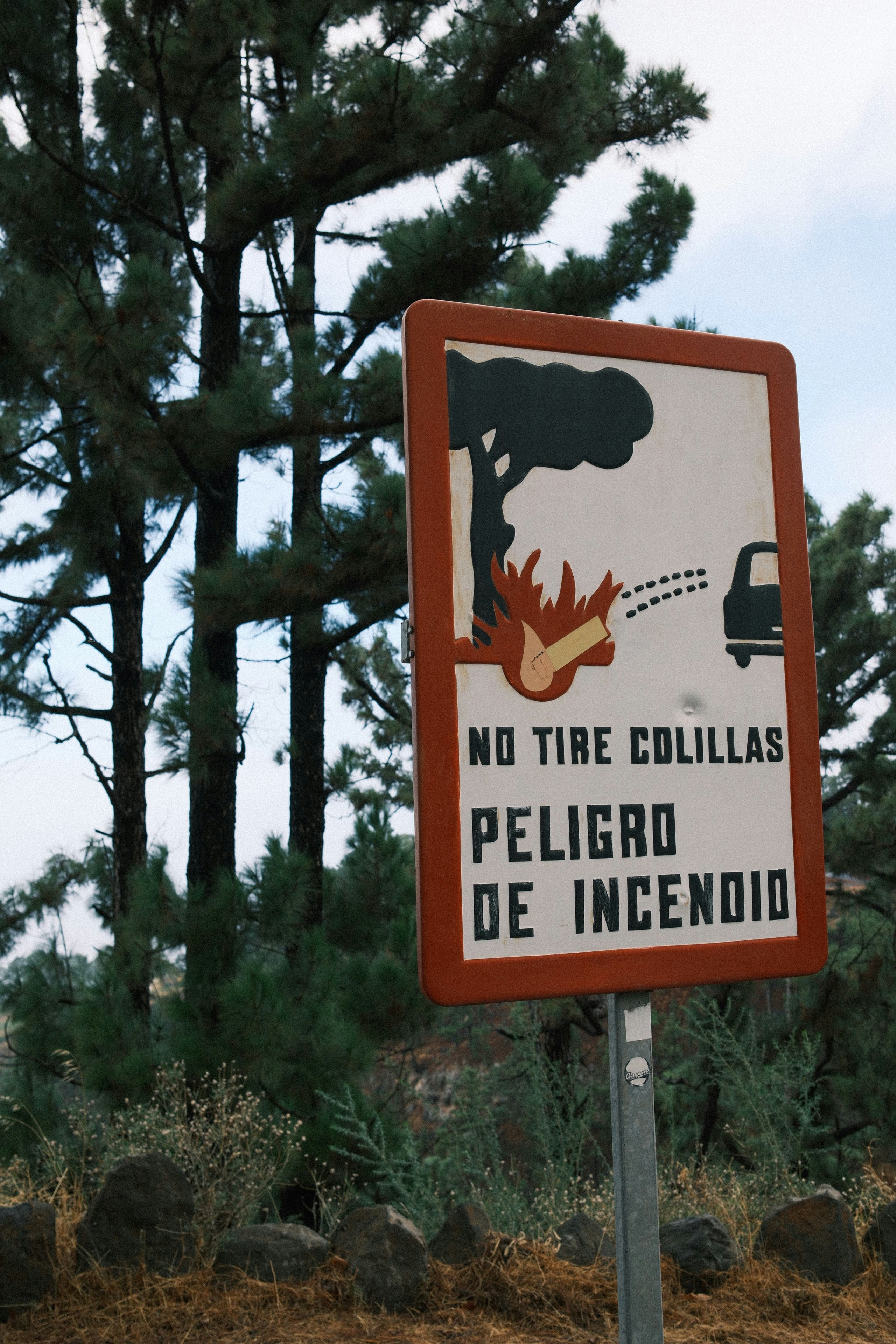 Warning Sign Under Pine Canopy: Fire Hazard in a Rural Vista
