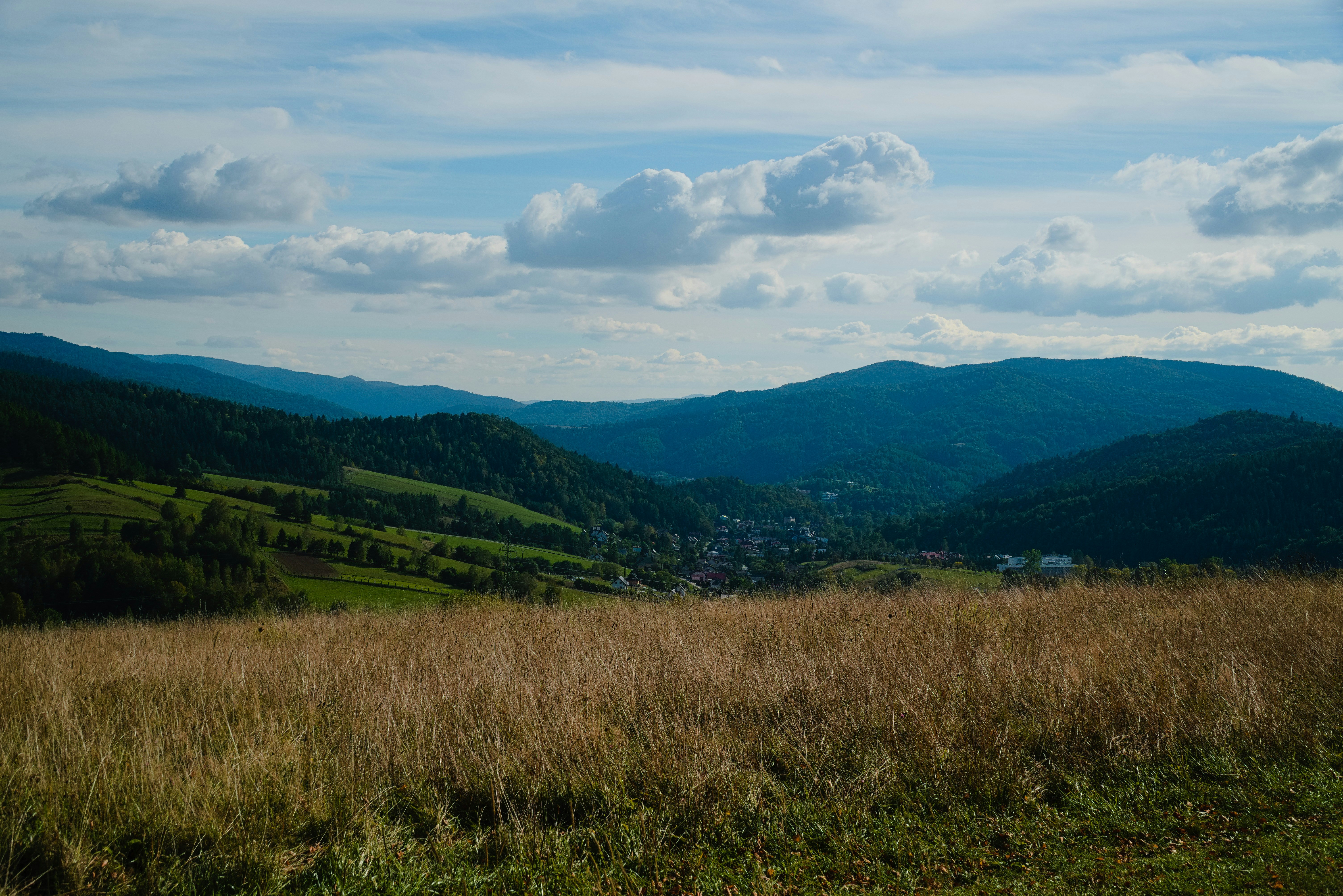 Golden grasses blanket a hillside with a distant village nestled among rolling green hills under a blue sky.