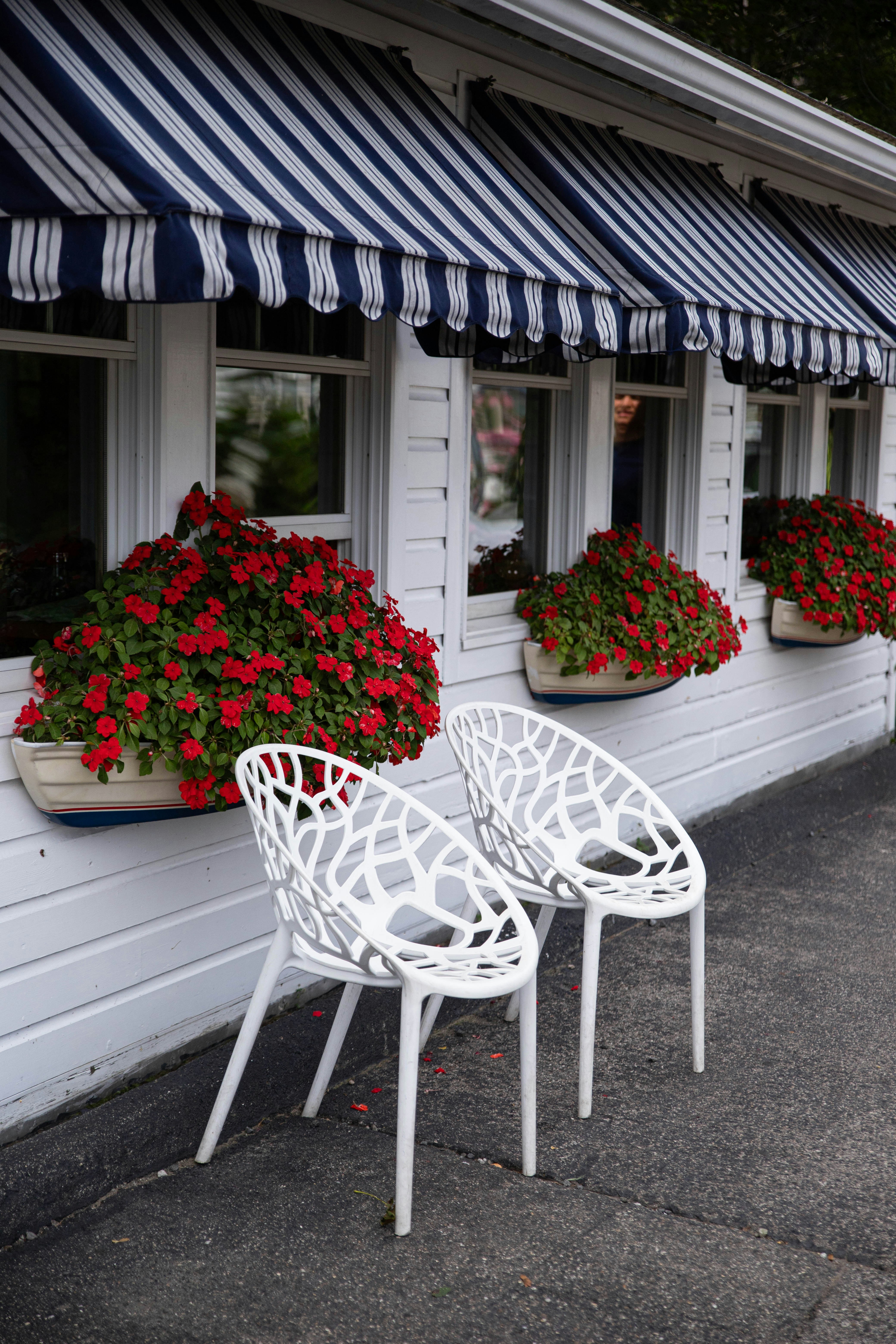 Striped Awnings and Crimson Petals: Outdoor Café by the White Chairs