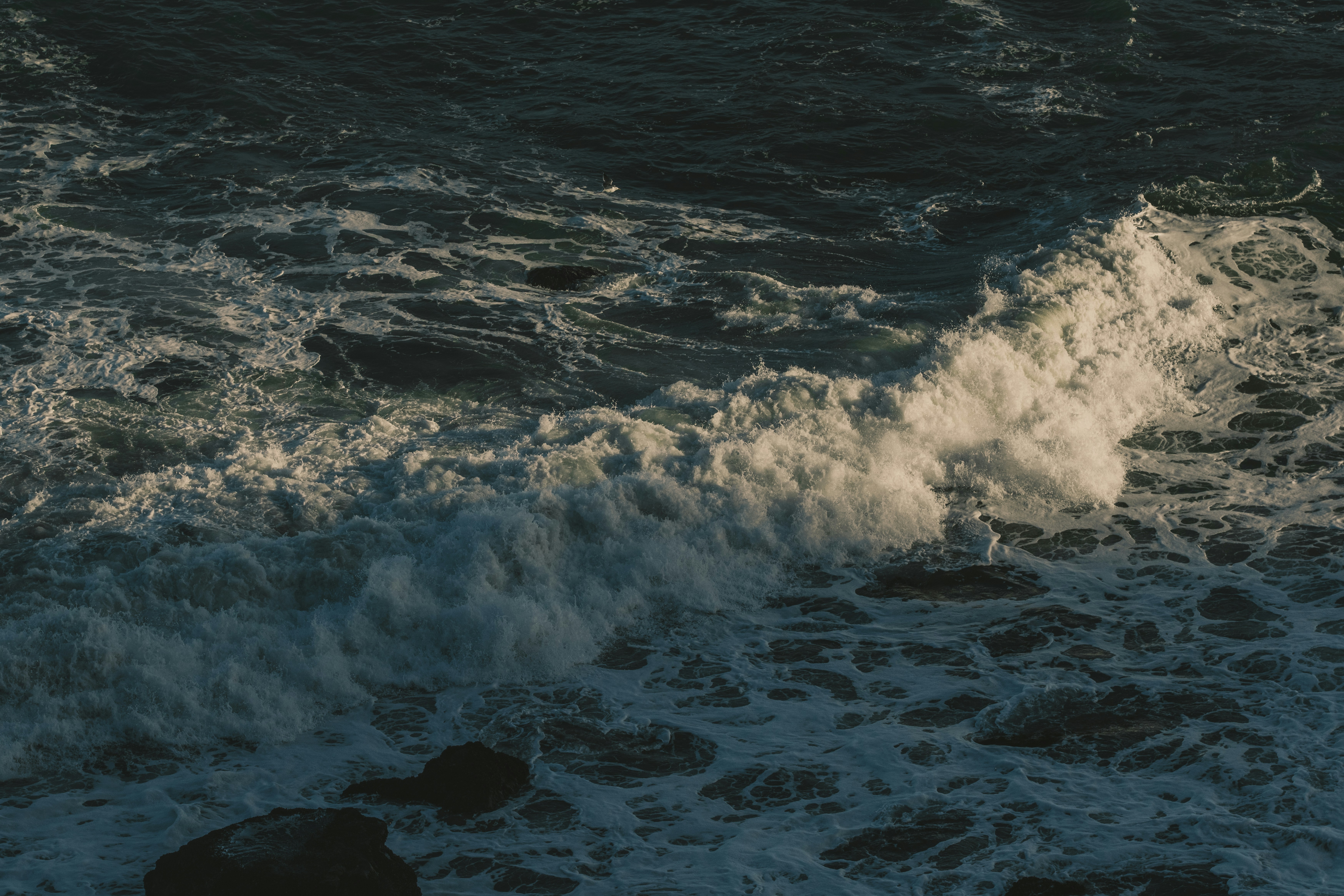 Breaker at Dusk: A Sudden White Crest on Dark Atlantic
