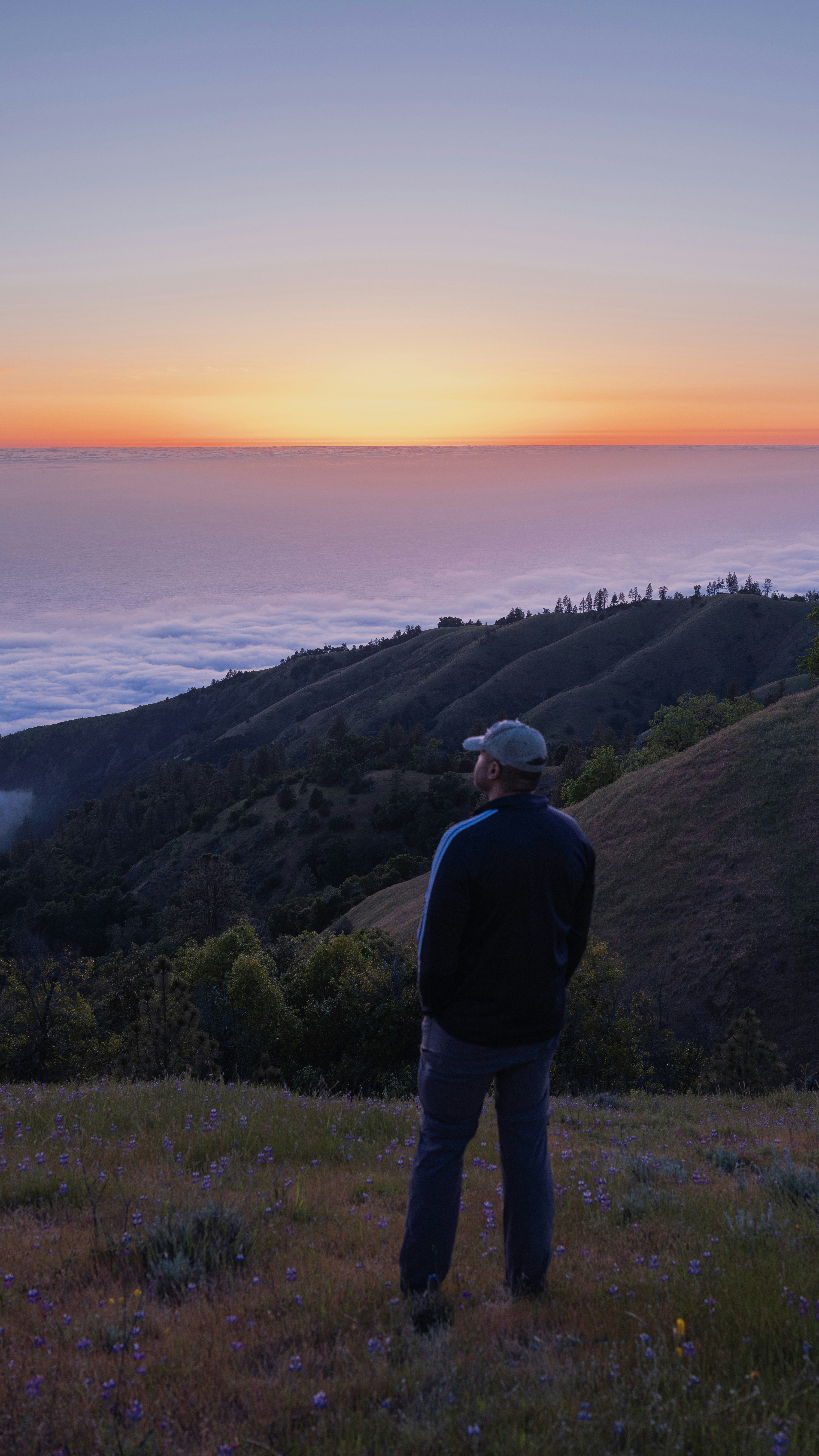 Hiker stands on a hillside at dawn, overlooking a glow of sunrise over a sea of clouds with distant mountains. A serene landscape capturing solitude and vastness.