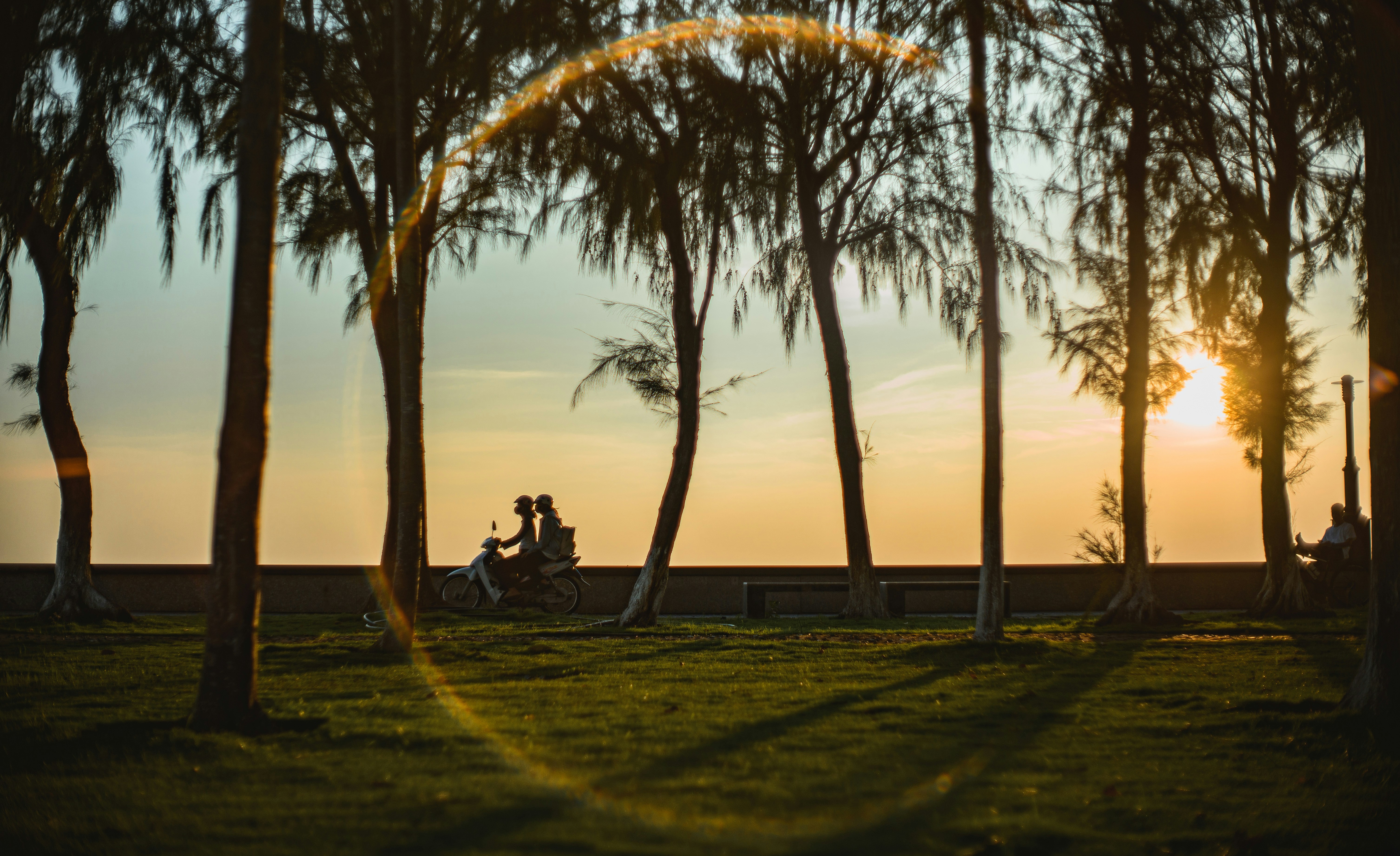 Silhouetted figures on a motorcycle beside palm trees at sunset along a coastal park, with lens flare framing the scene.