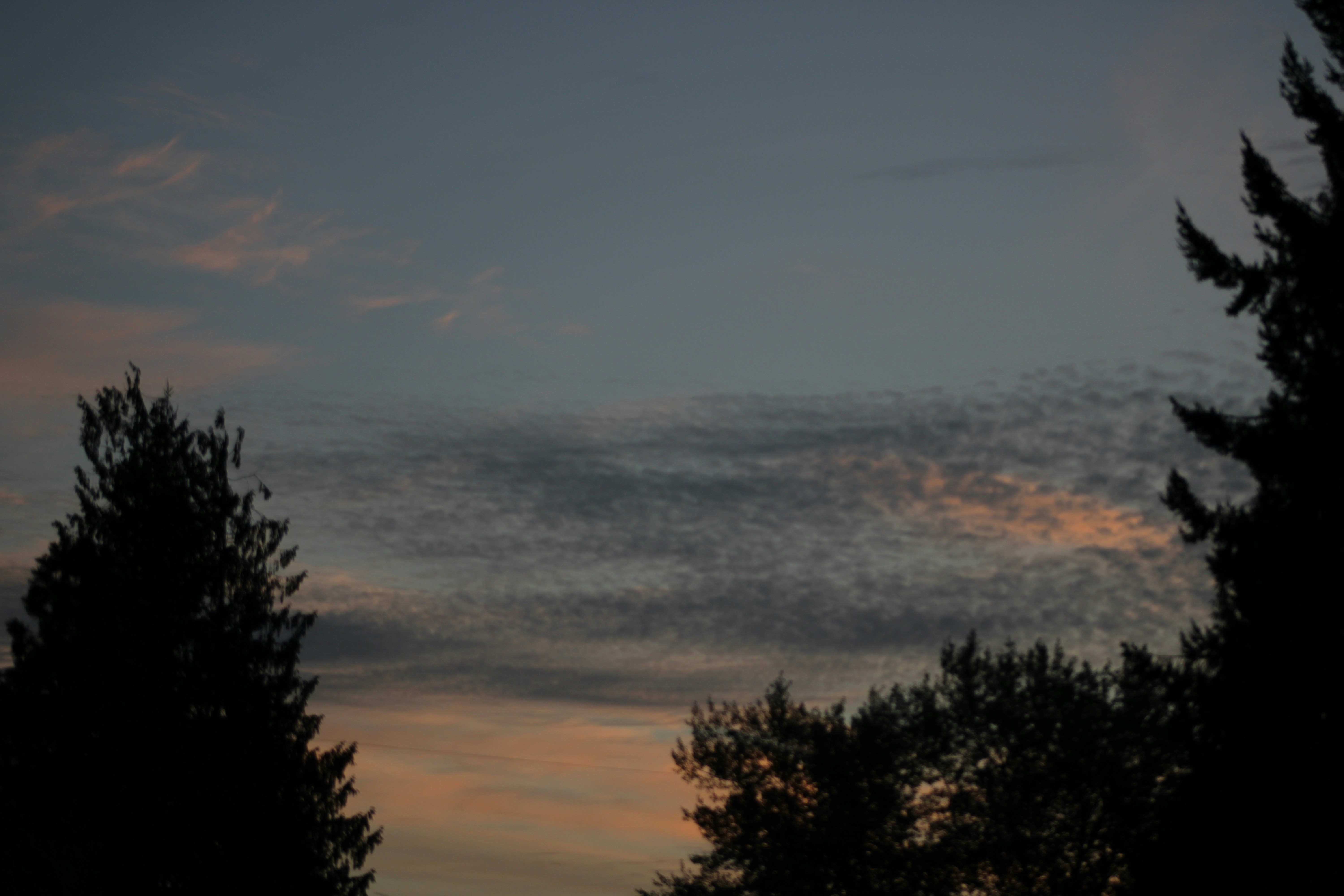 Twilight sky with soft orange clouds above dark silhouettes of trees, creating a serene landscape photograph.