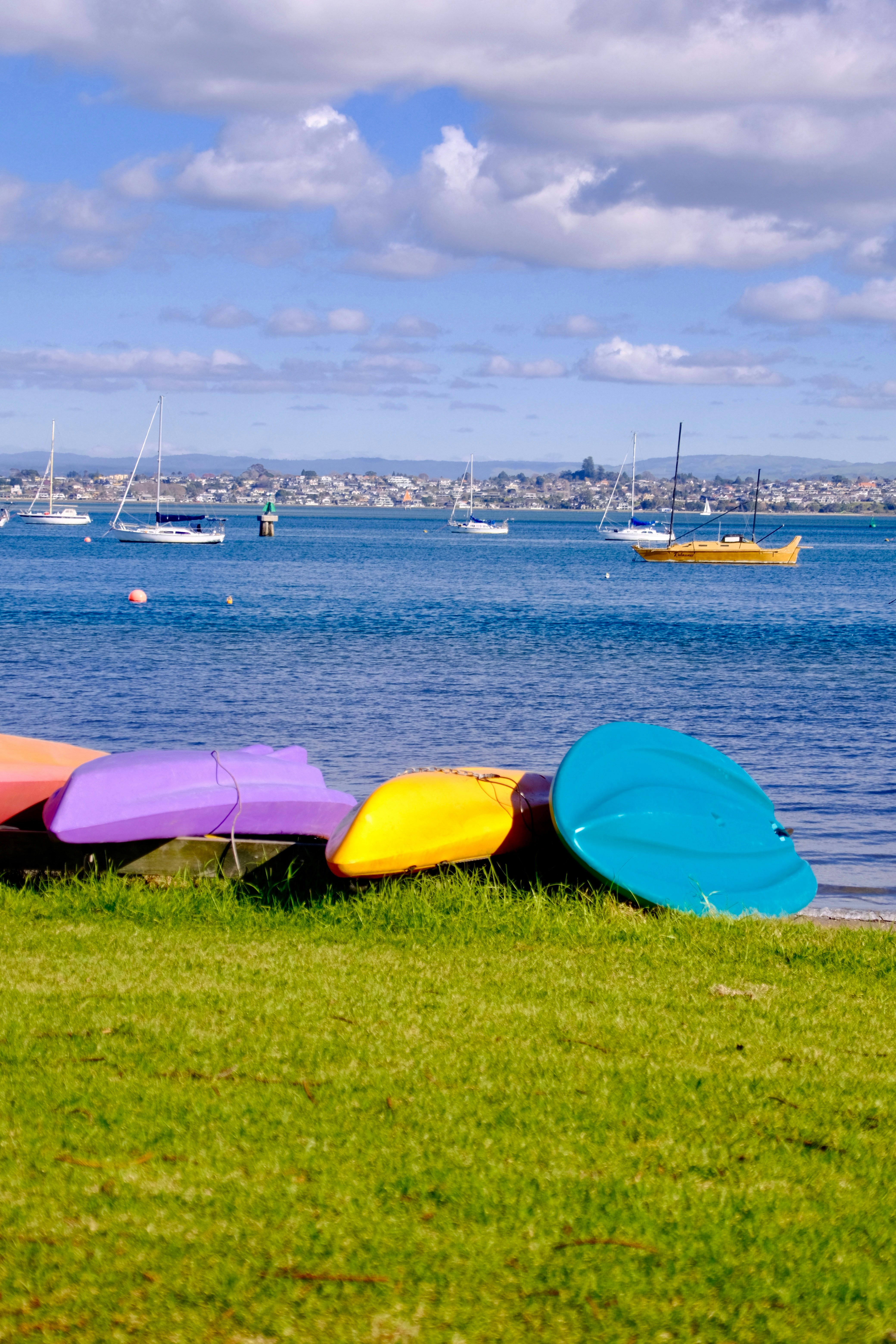 Colorful Kayaks On Grassy Shore With Sailboats Across Calm Bay