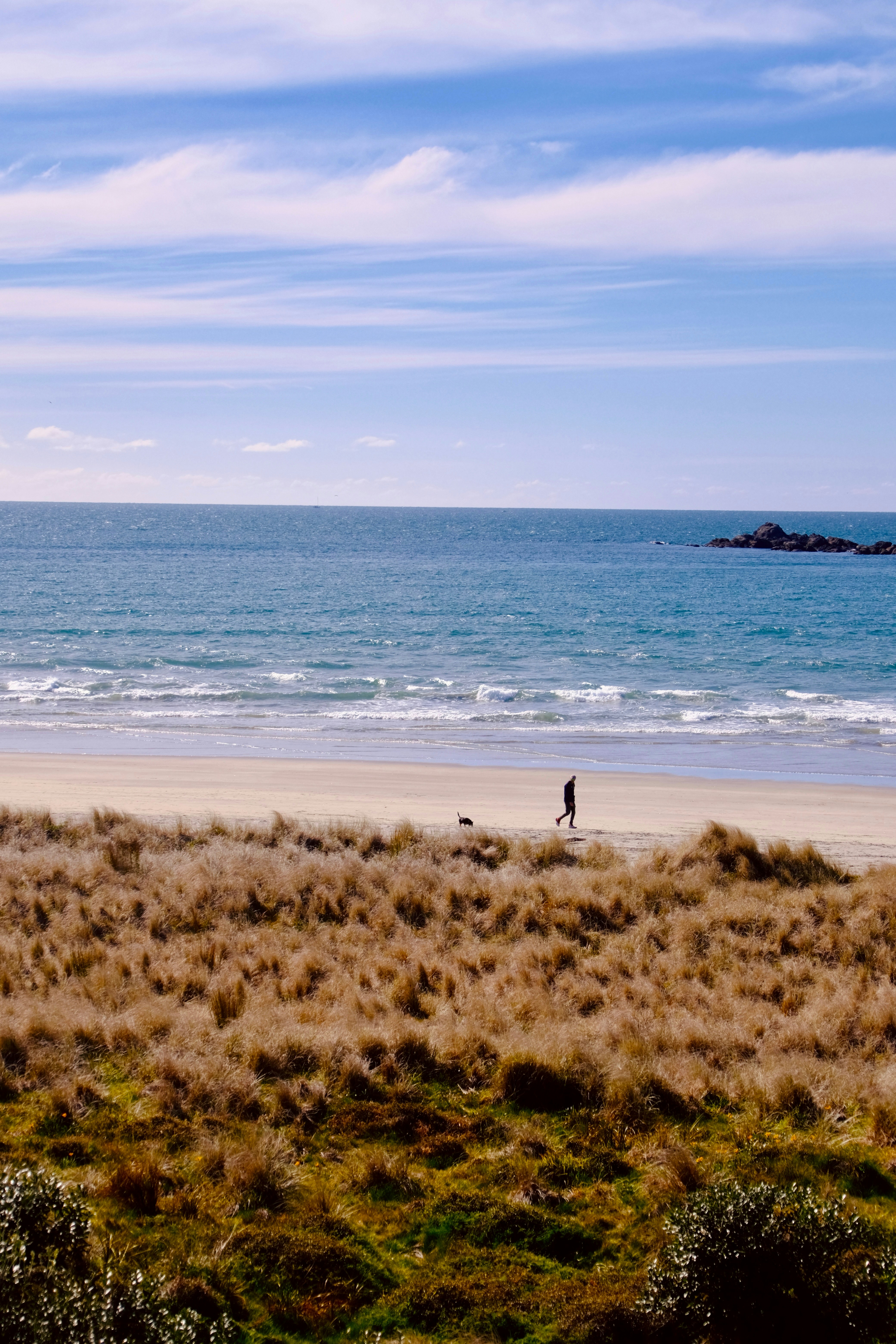 Solitary jogger and dog along windswept dune path by the sea