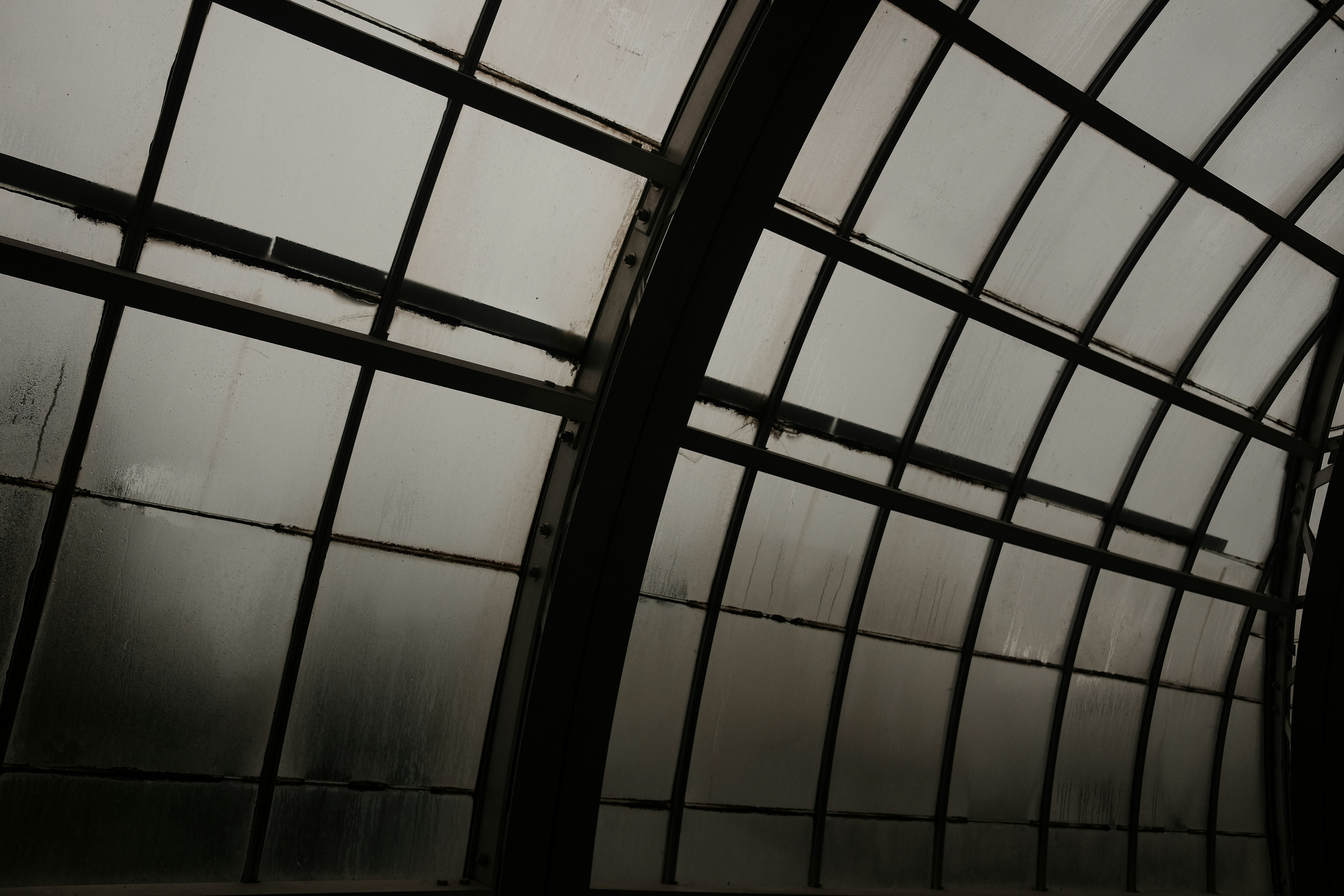 Curved Glass Grid in Dim Light