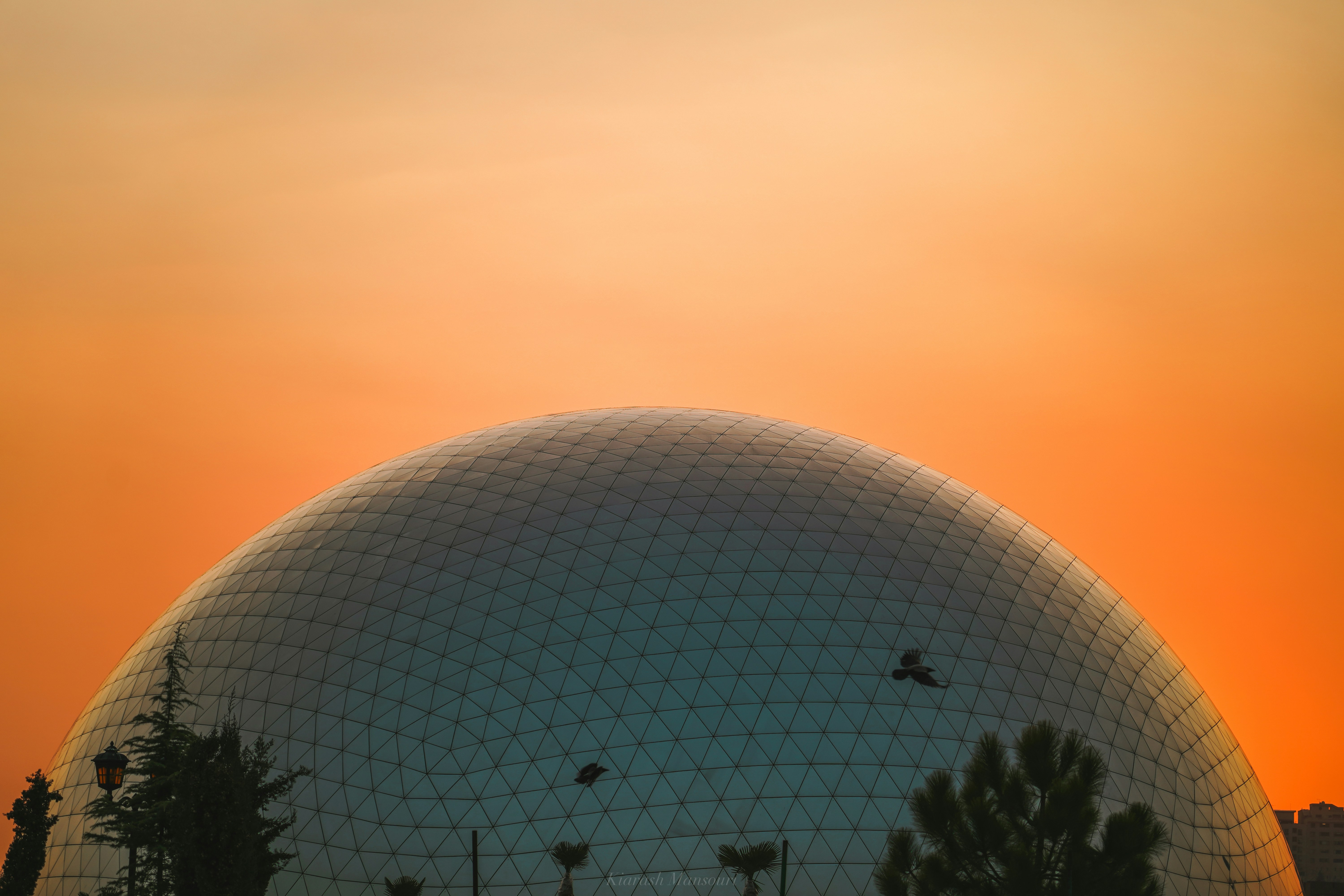 Sunset over a Geodesic Dome: Silhouetted Trees Framing a Futuristic Skyline