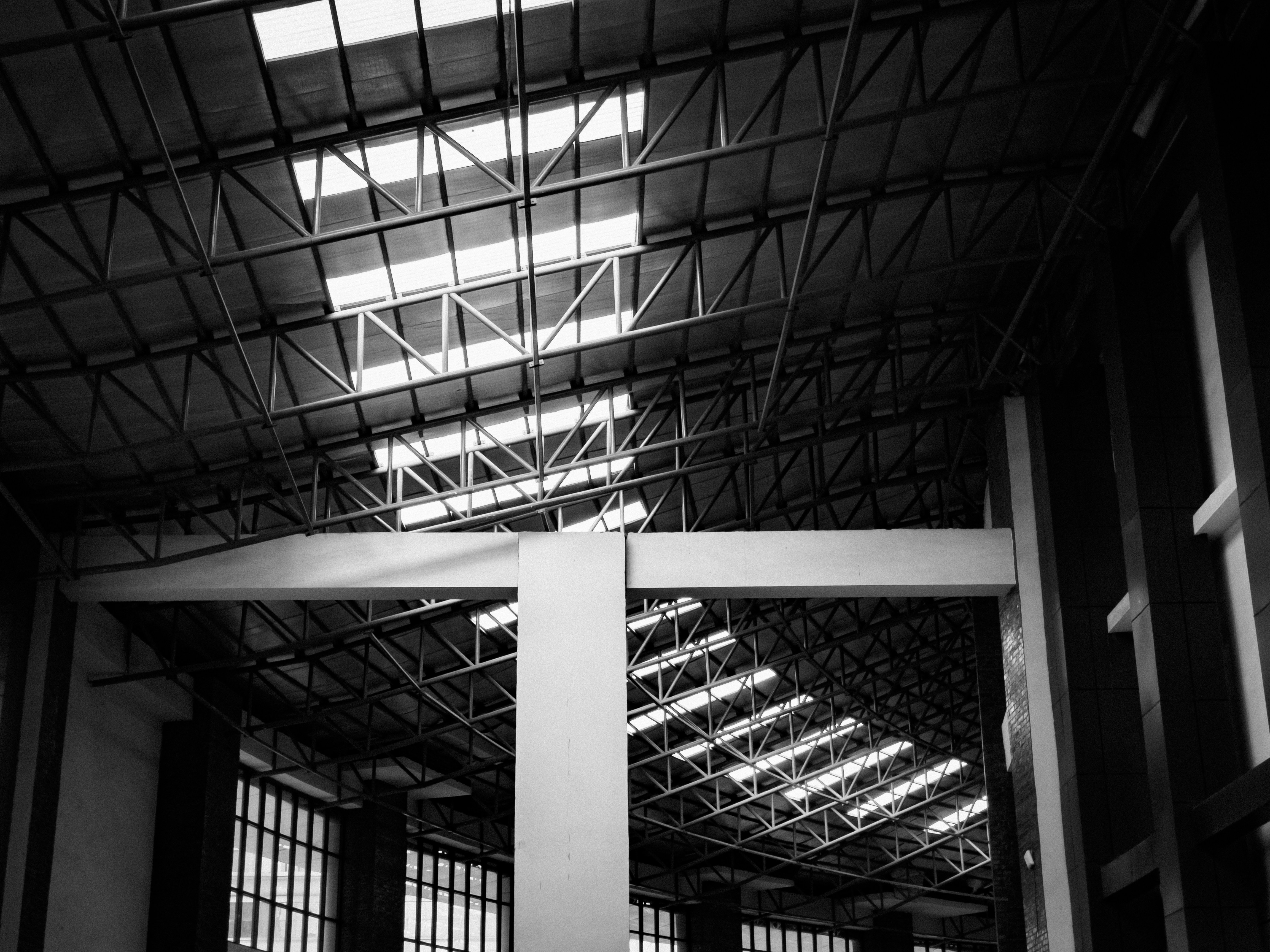 Architectural Light: Gridded Ceiling and Steel Columns in Black-and-White Geometry