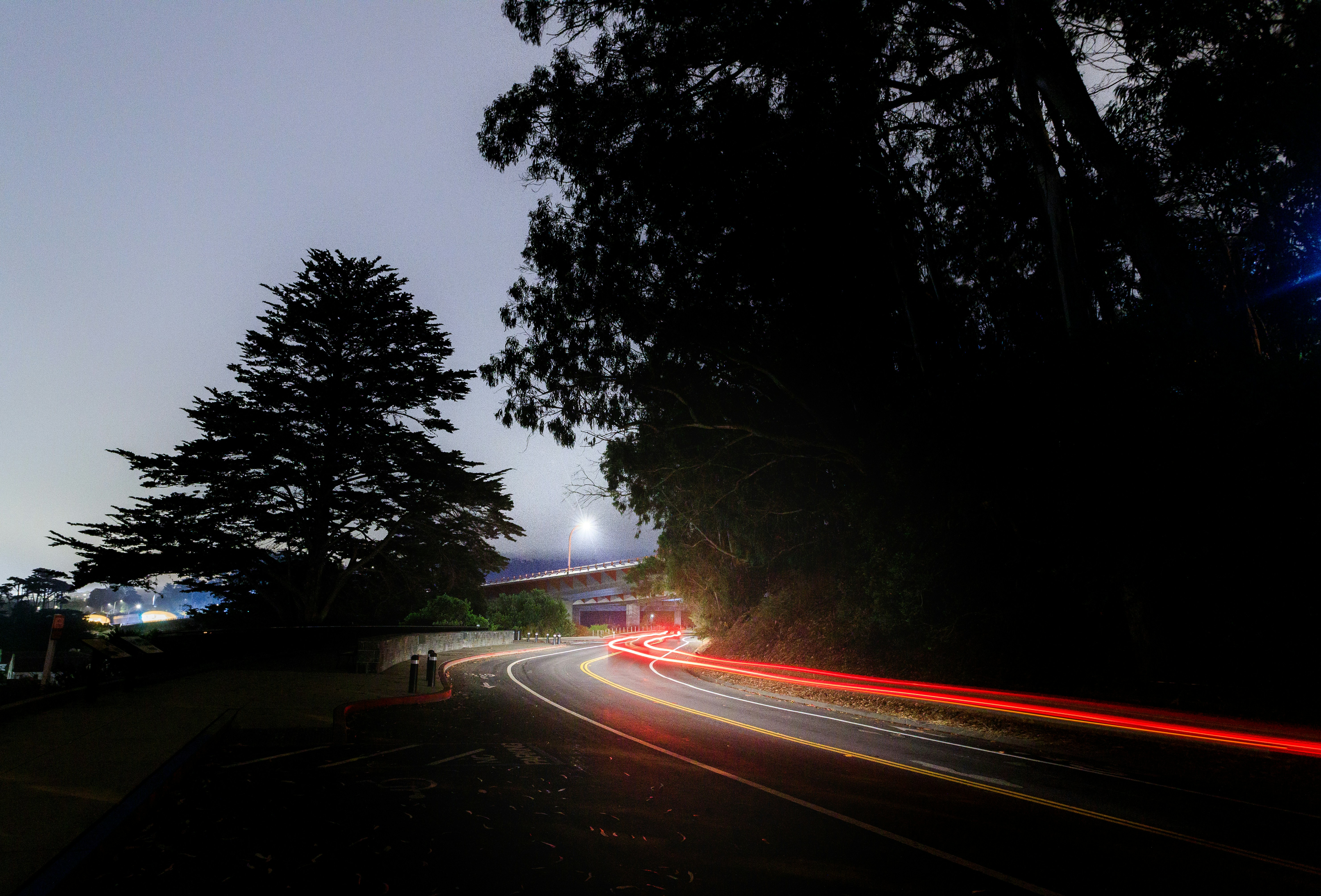 Moonlit Curve: A Night Drive Through a Quiet Arbor