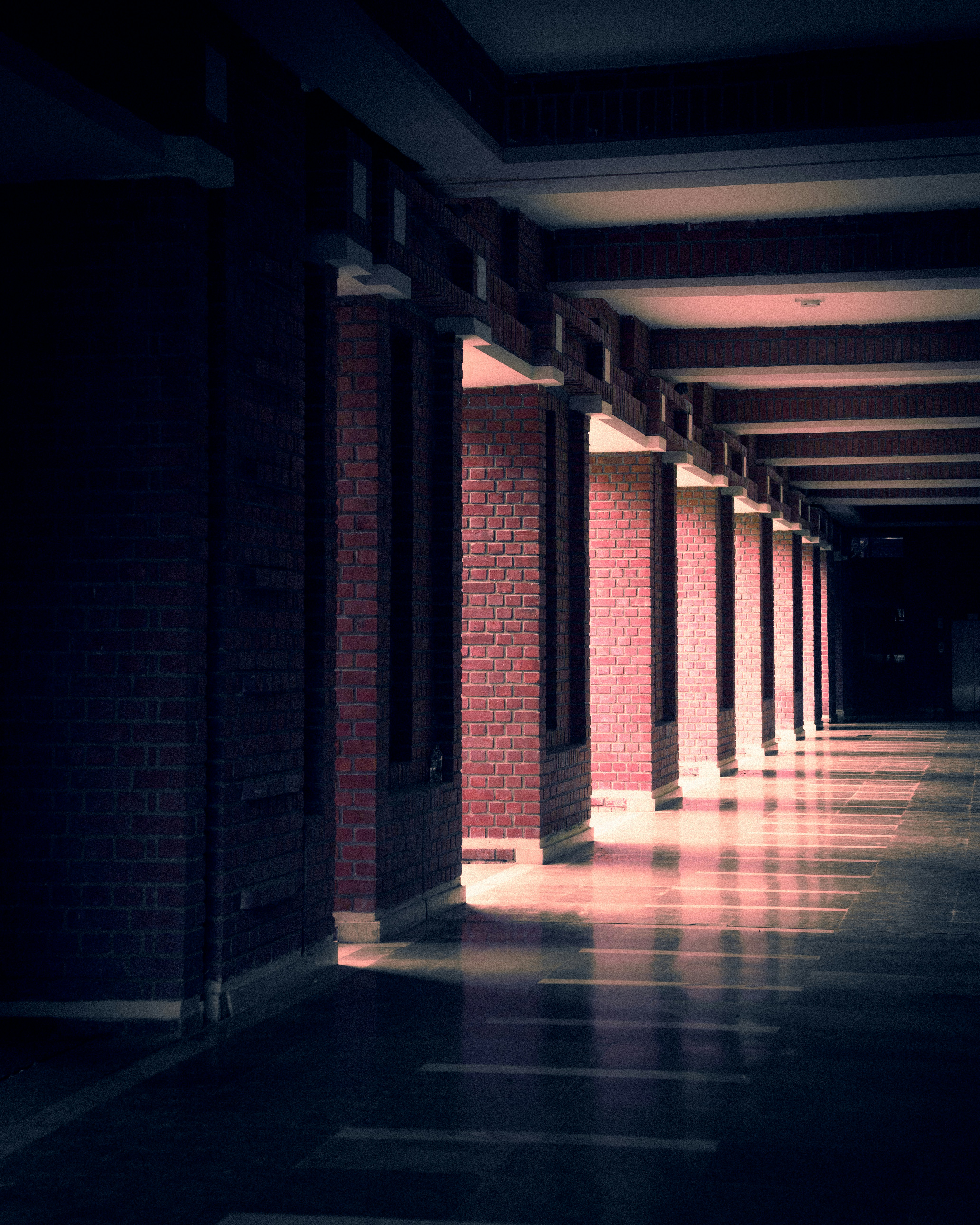 Colonnade of Quiet Light in Twilight Hall