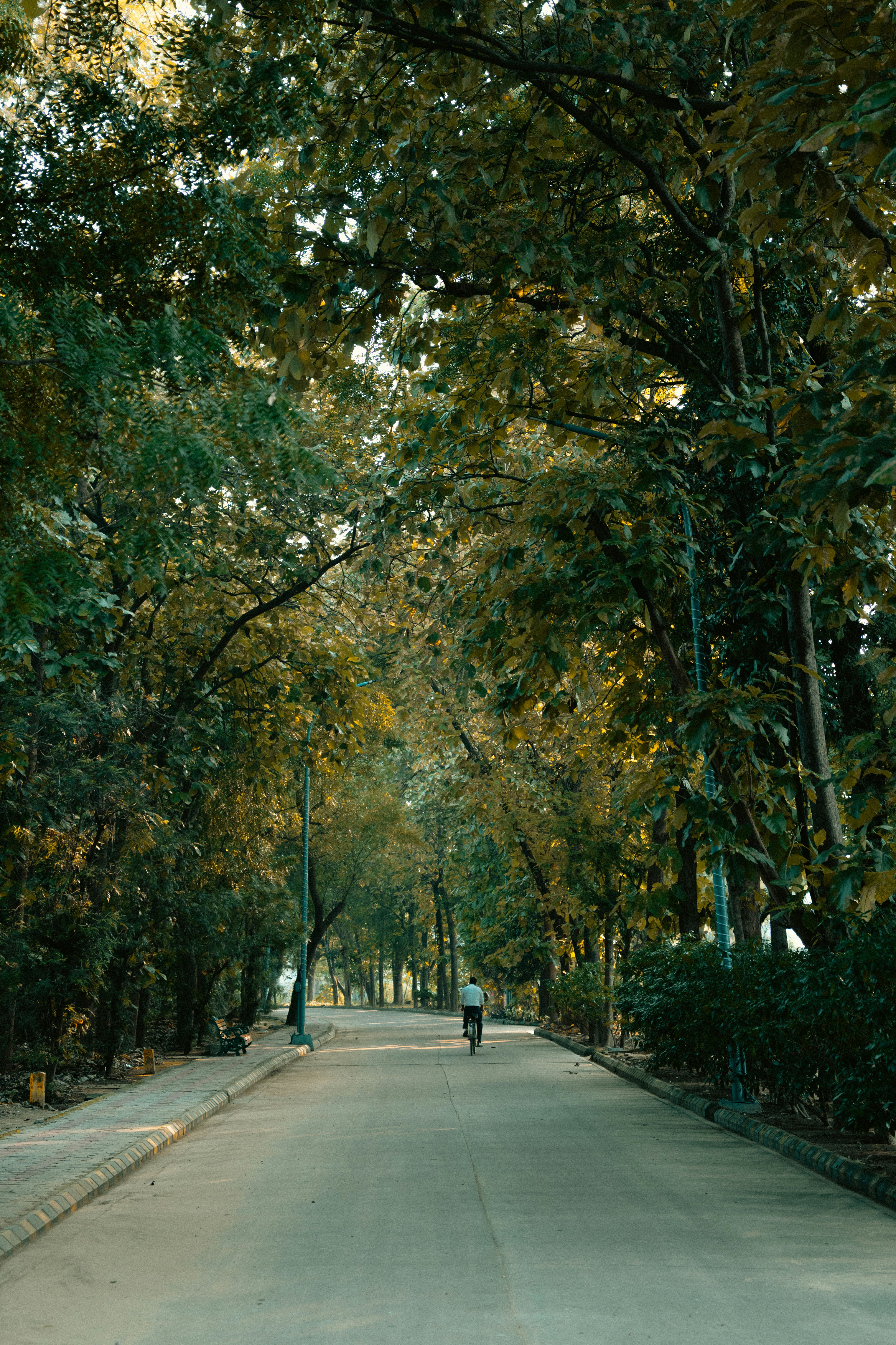 IIM Lucknow campus road