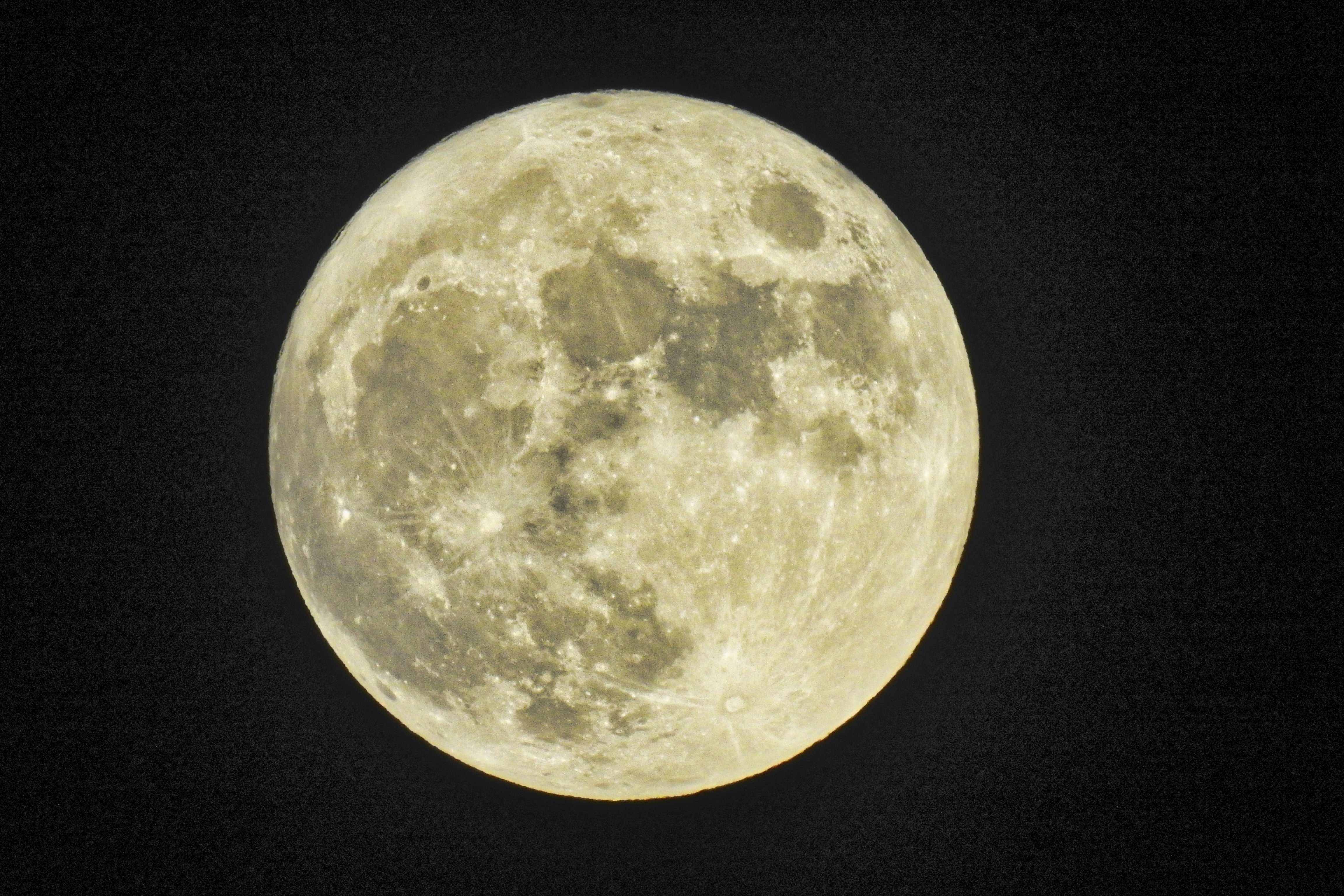 Photo by Thomas Kinto with Nikon COOLPIX P900