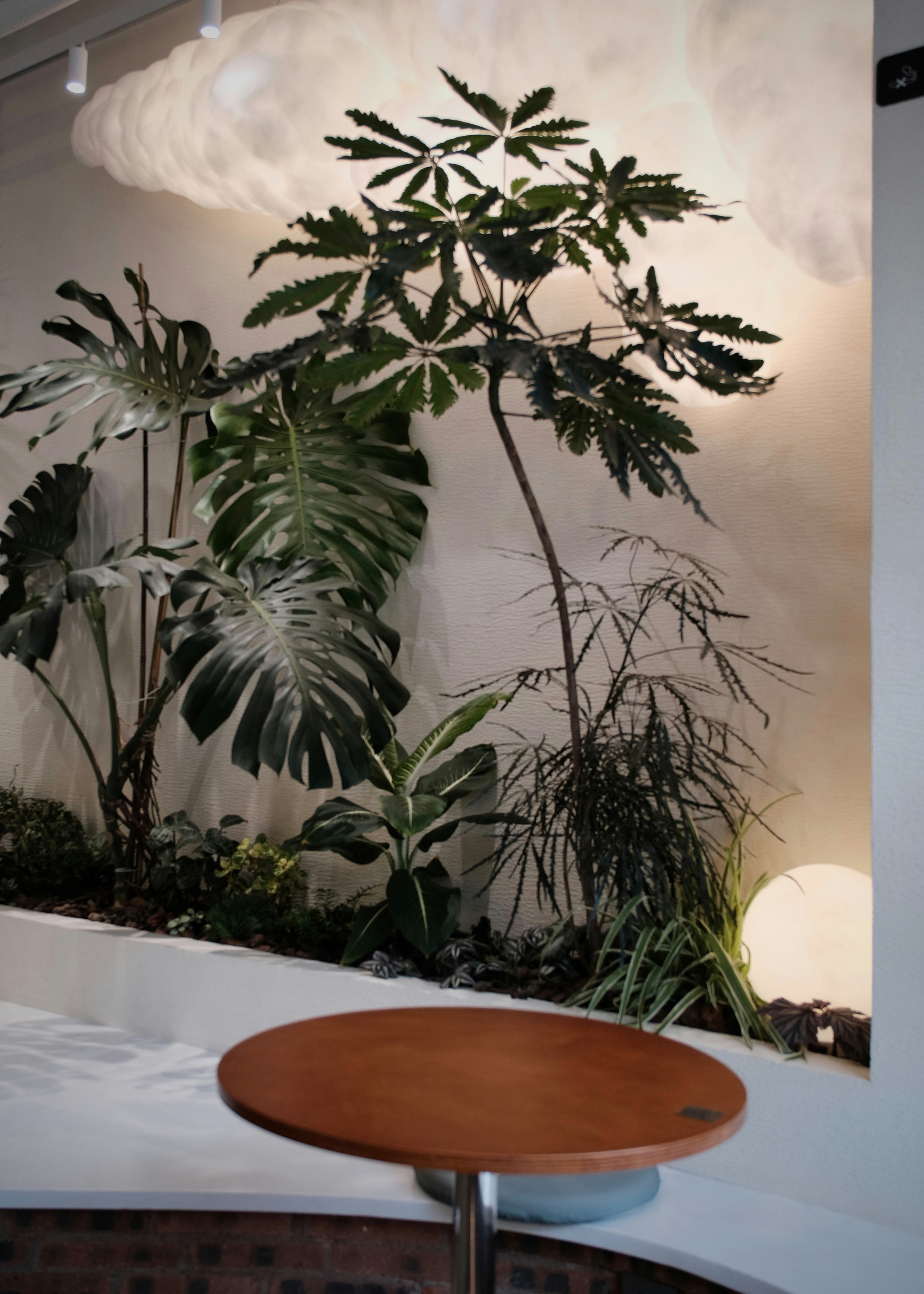 Indoor Jungle Café: A Round Table Beneath Tall Foliage