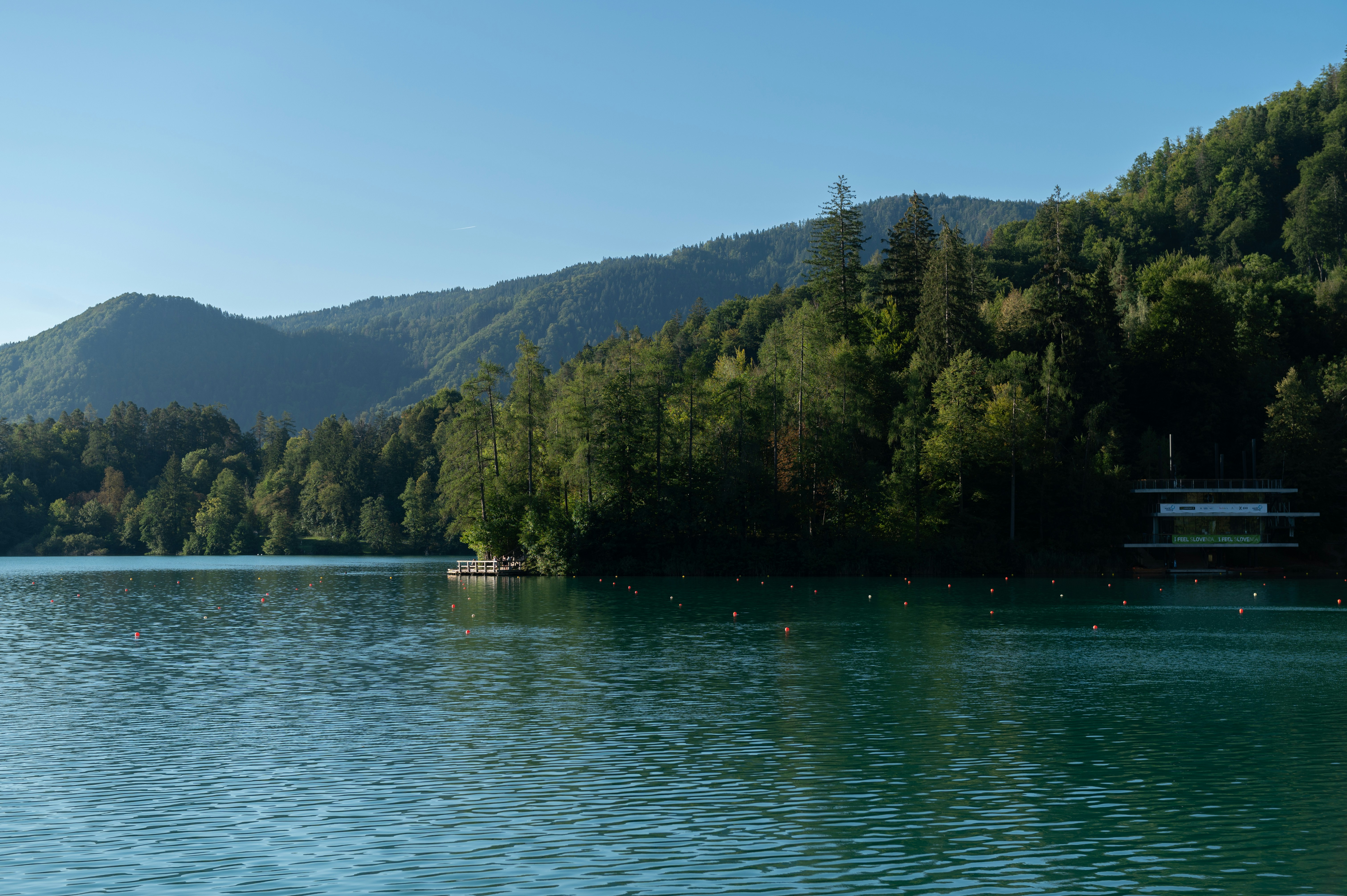 Serene Lake at the Foot of Pine-Clad Hills