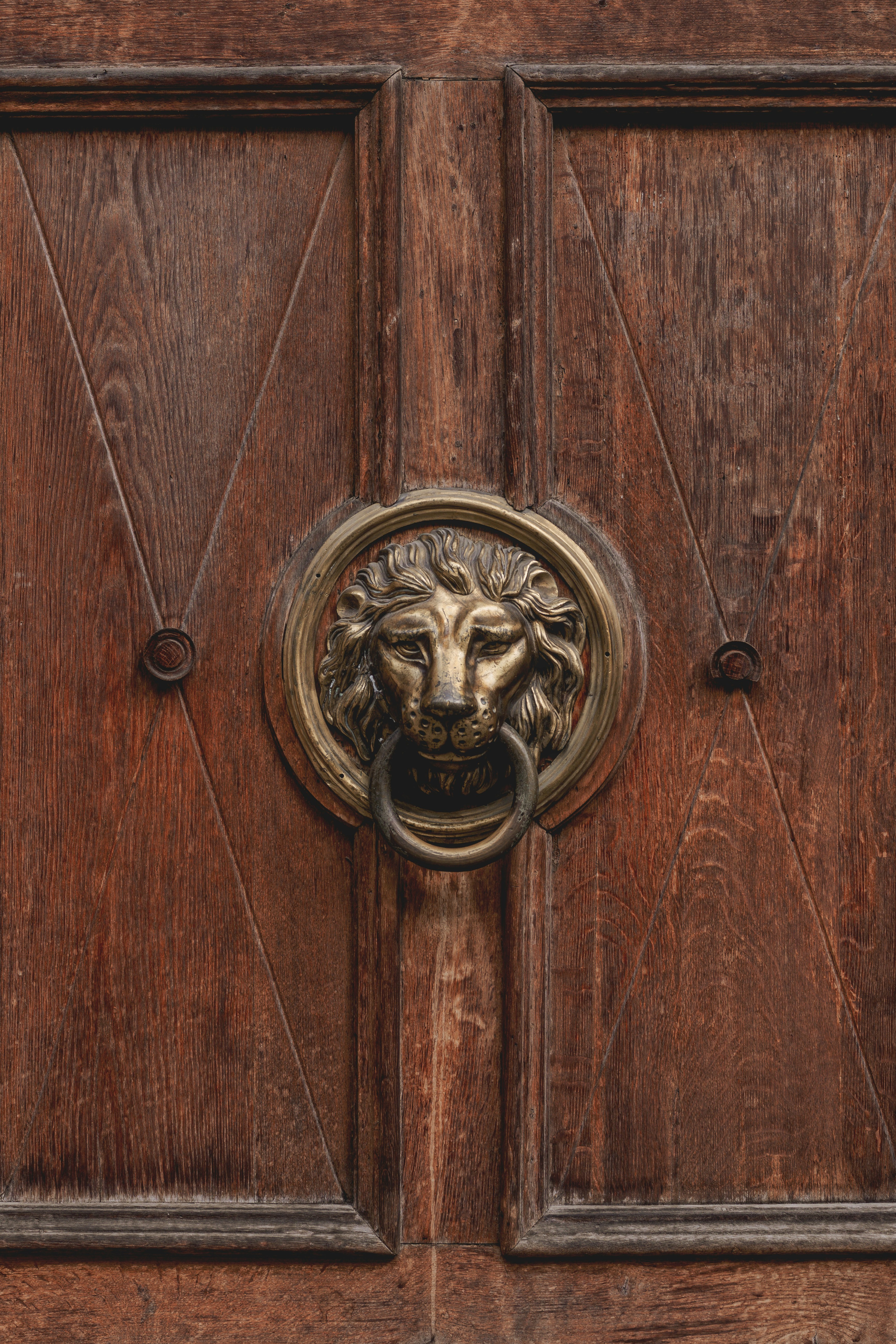 Titanic Door Knocker: A Brass Lion Grips a Ring on Weathered Wood