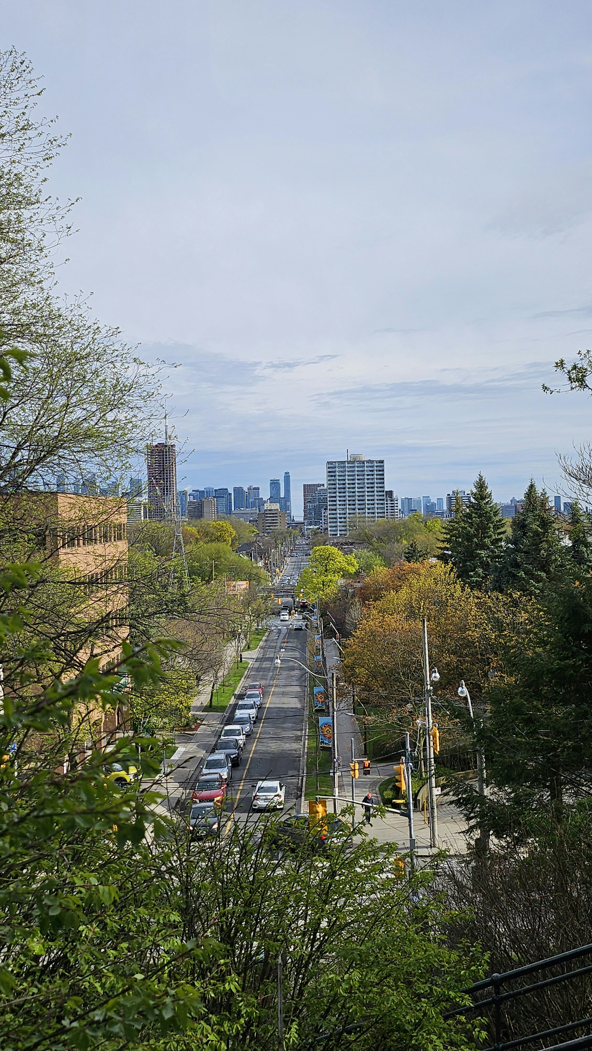 Urban corridor: City skyline framed by leafy hillside
