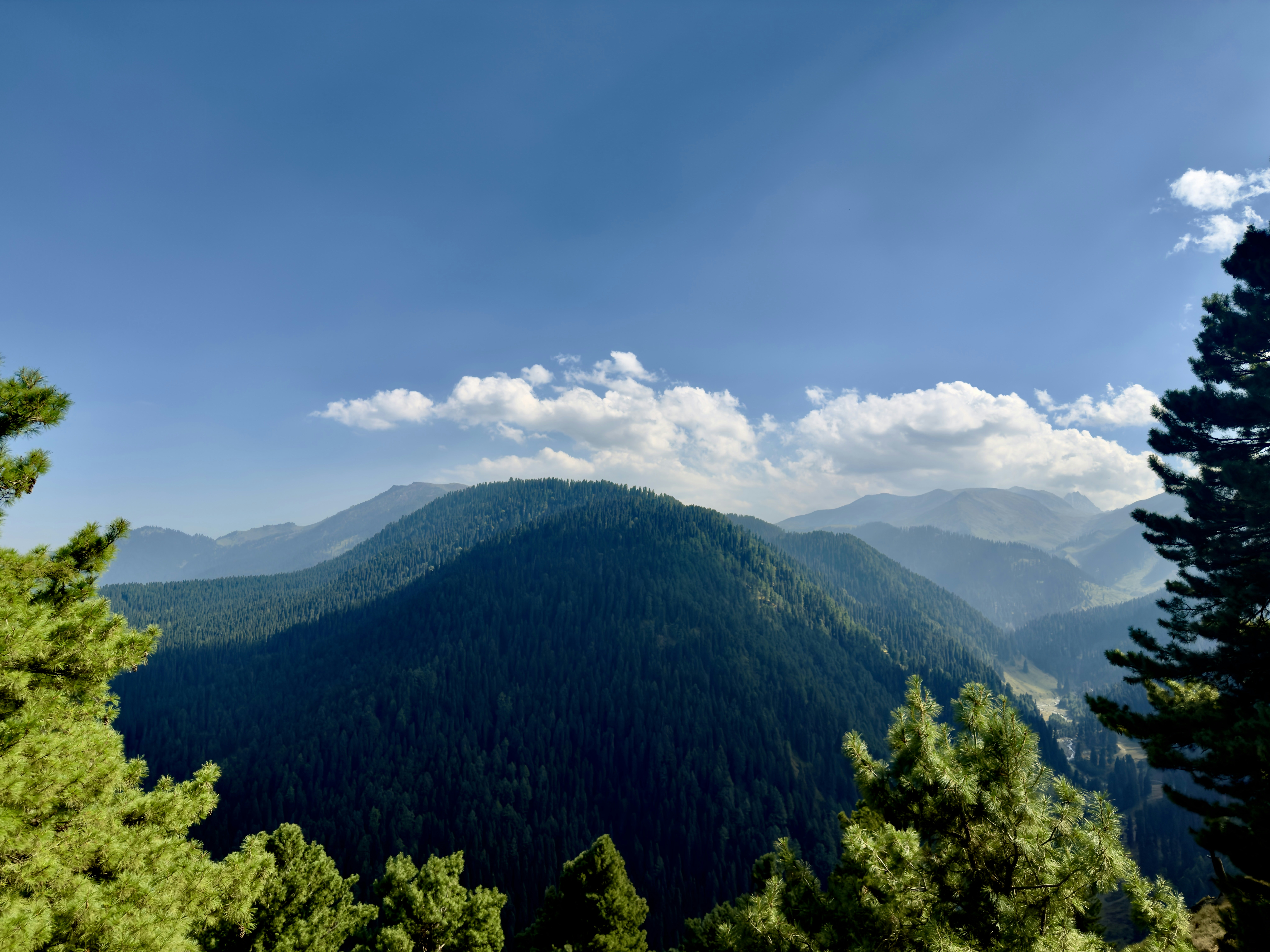 Granite- and pine-dominated mountain ridge unfolds under a clear blue sky with scattered clouds, capturing expansive depth and layered forest textures.