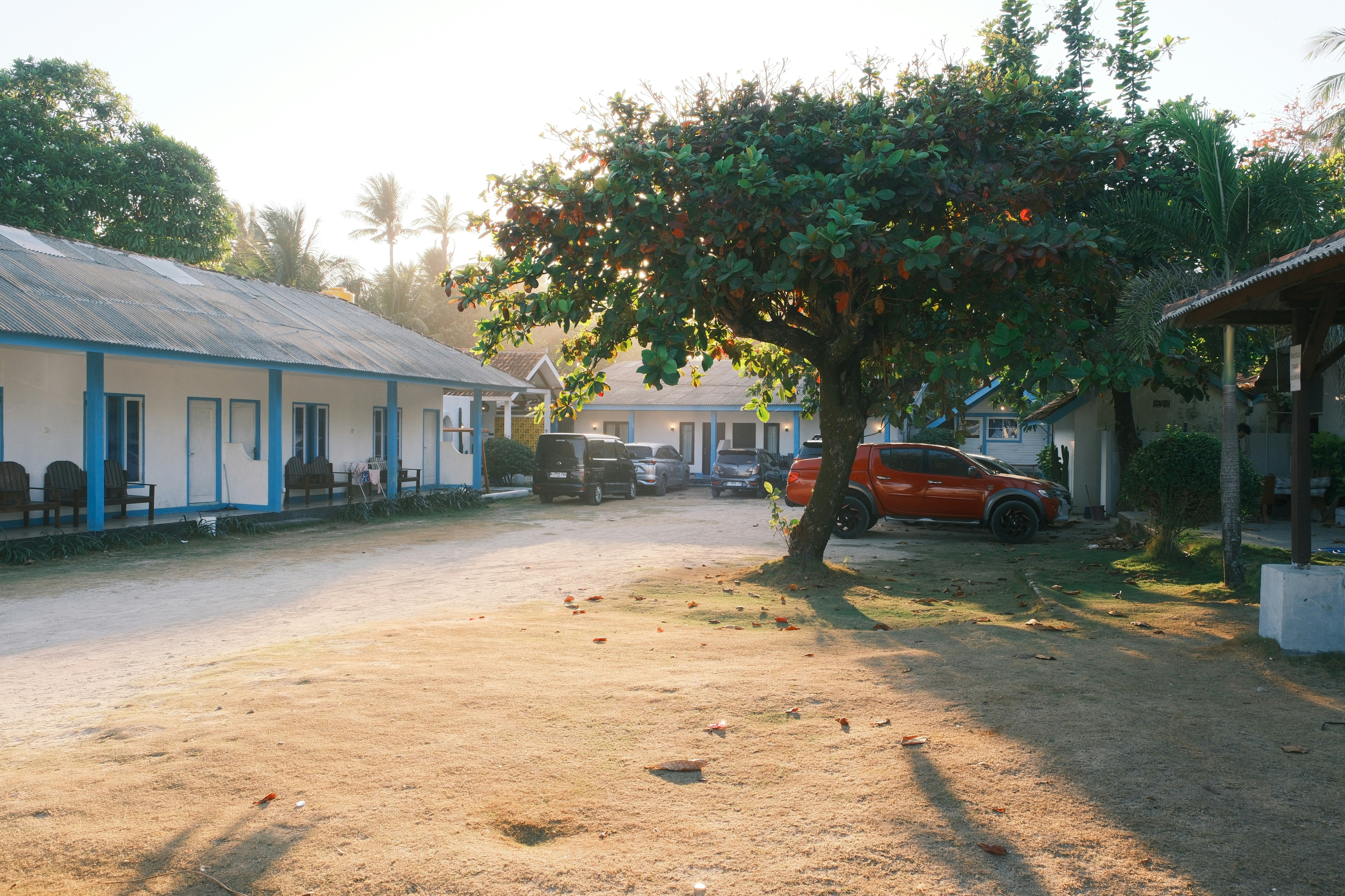 Sunlit Yard Beneath a Canopy: Quiet Village Lane