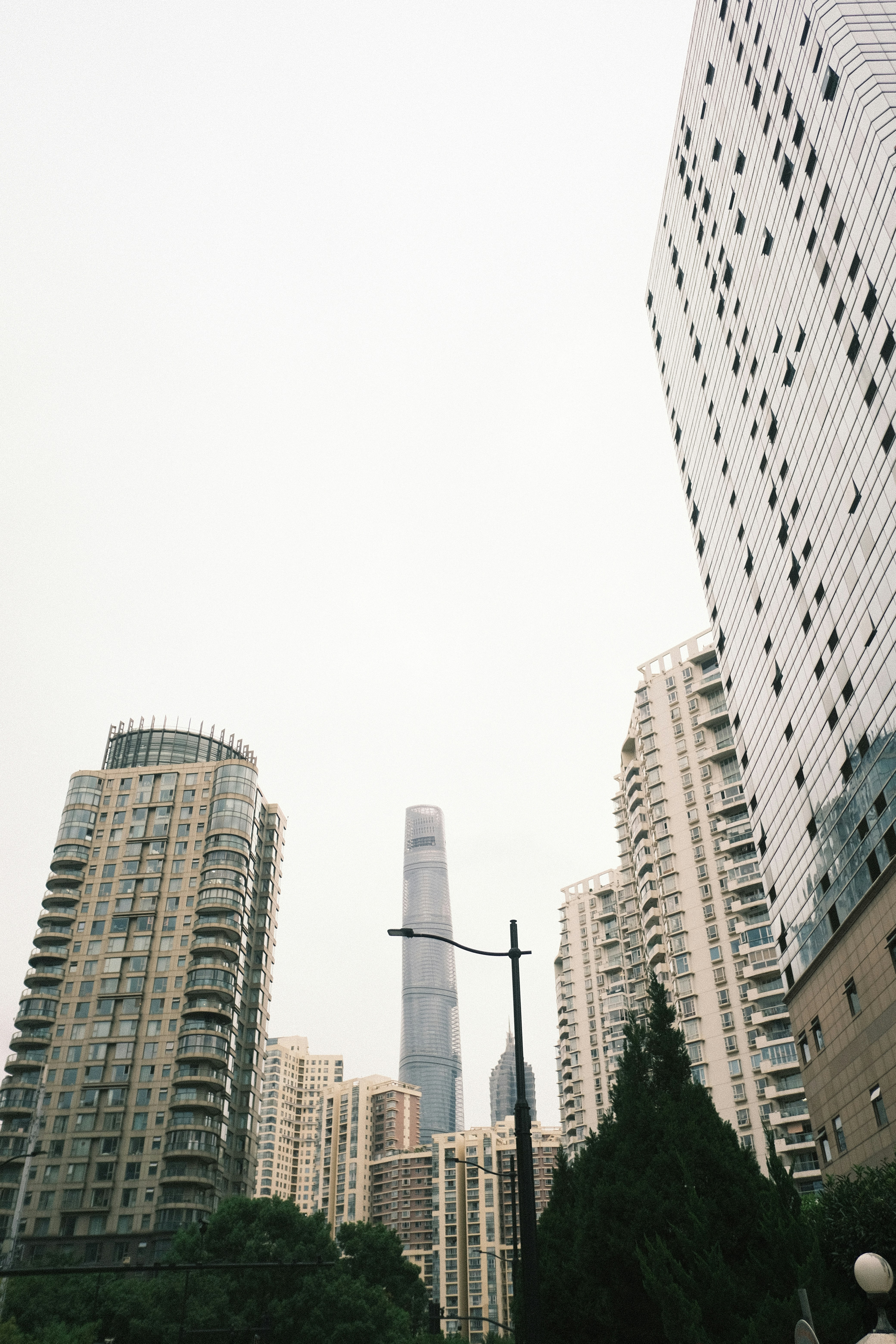 Urban Spine: A Narrow Canyon of Skyscrapers and Sky