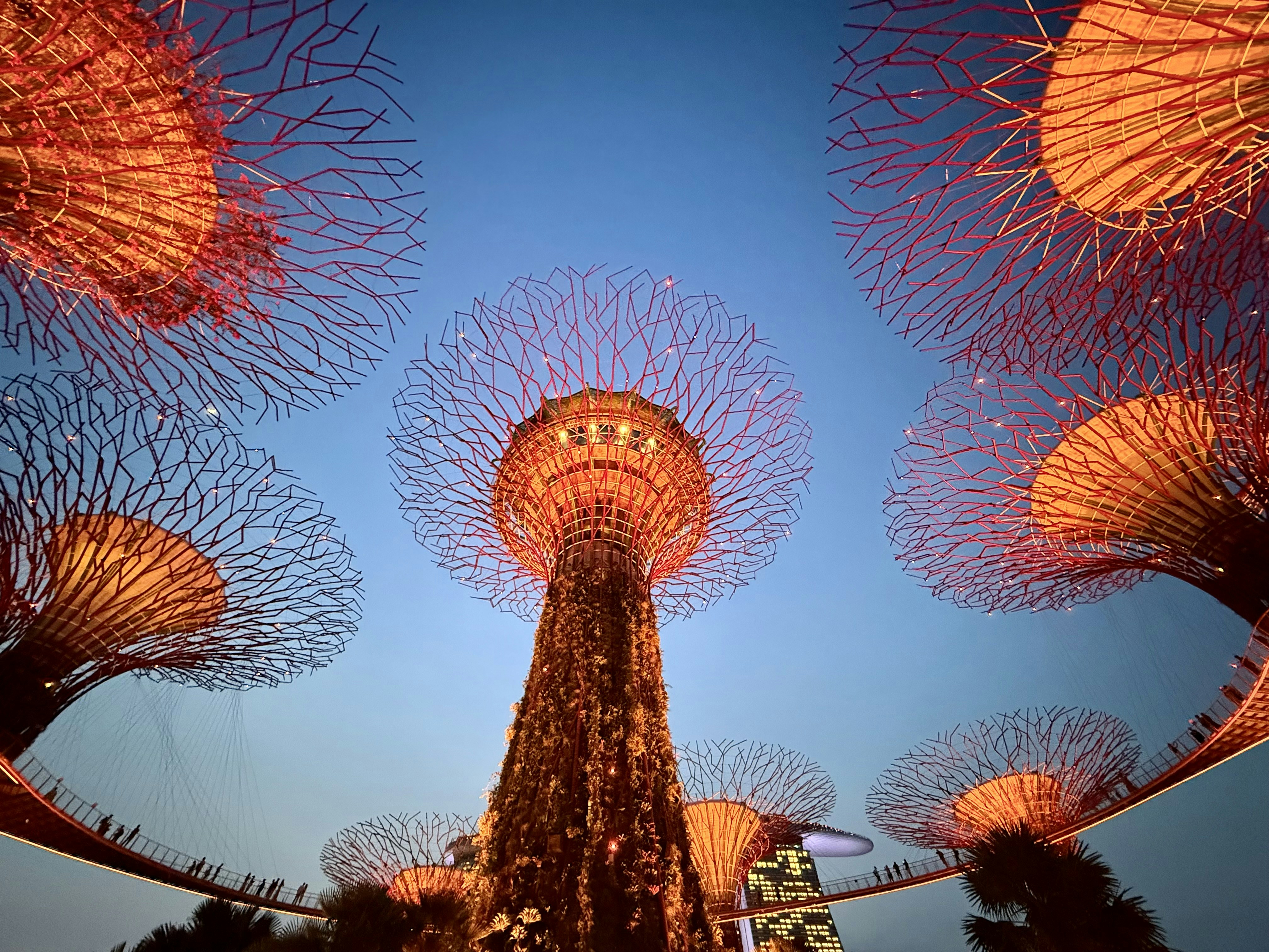 Skyward Guardians: Fire Puppets of the Supertree Canopy