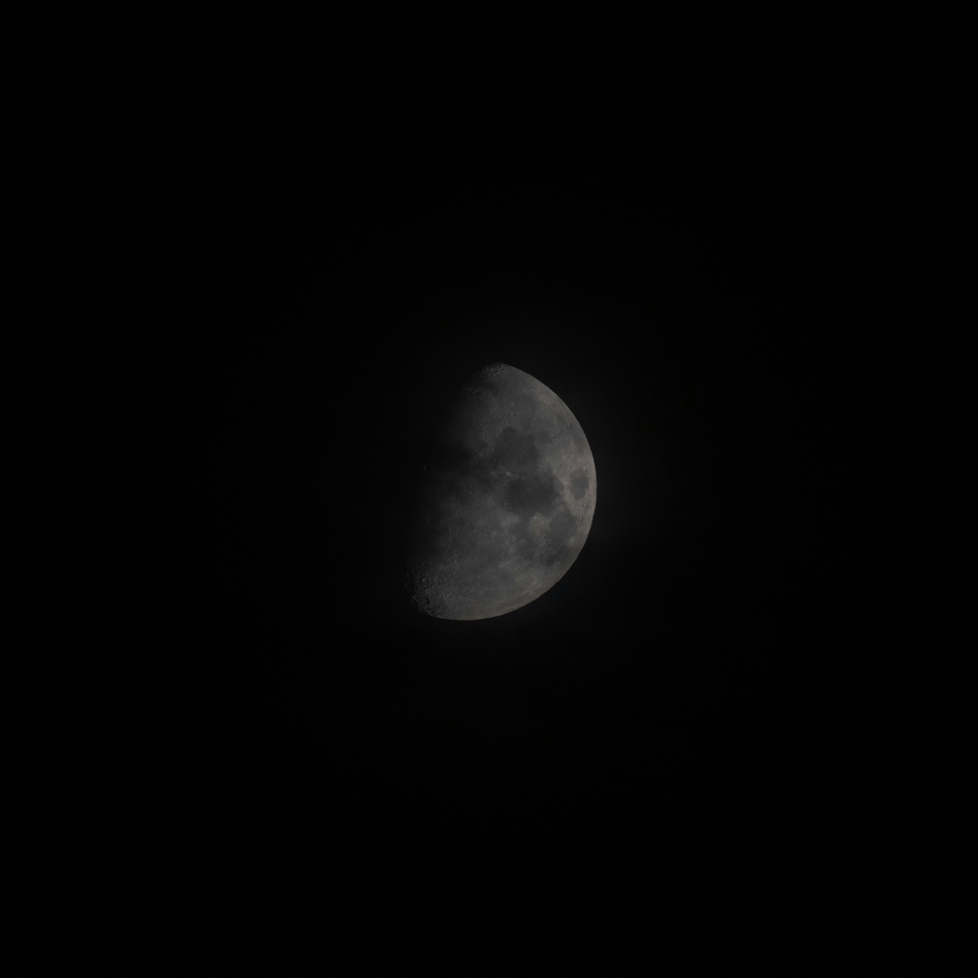Lone Moon Hale on a Velvet Night