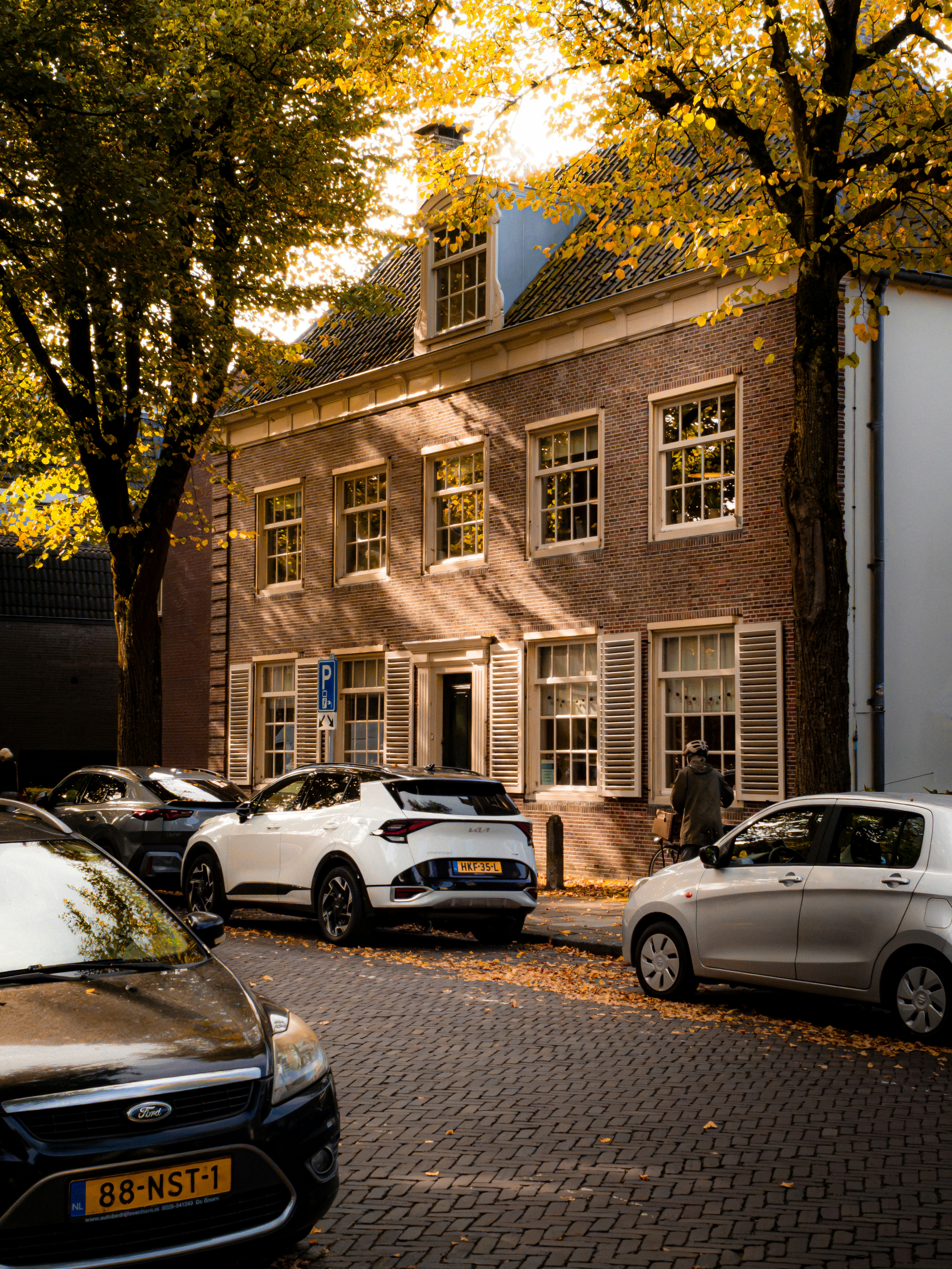 Autumn Street: Brick Facade Behind a Line of Parked Cars