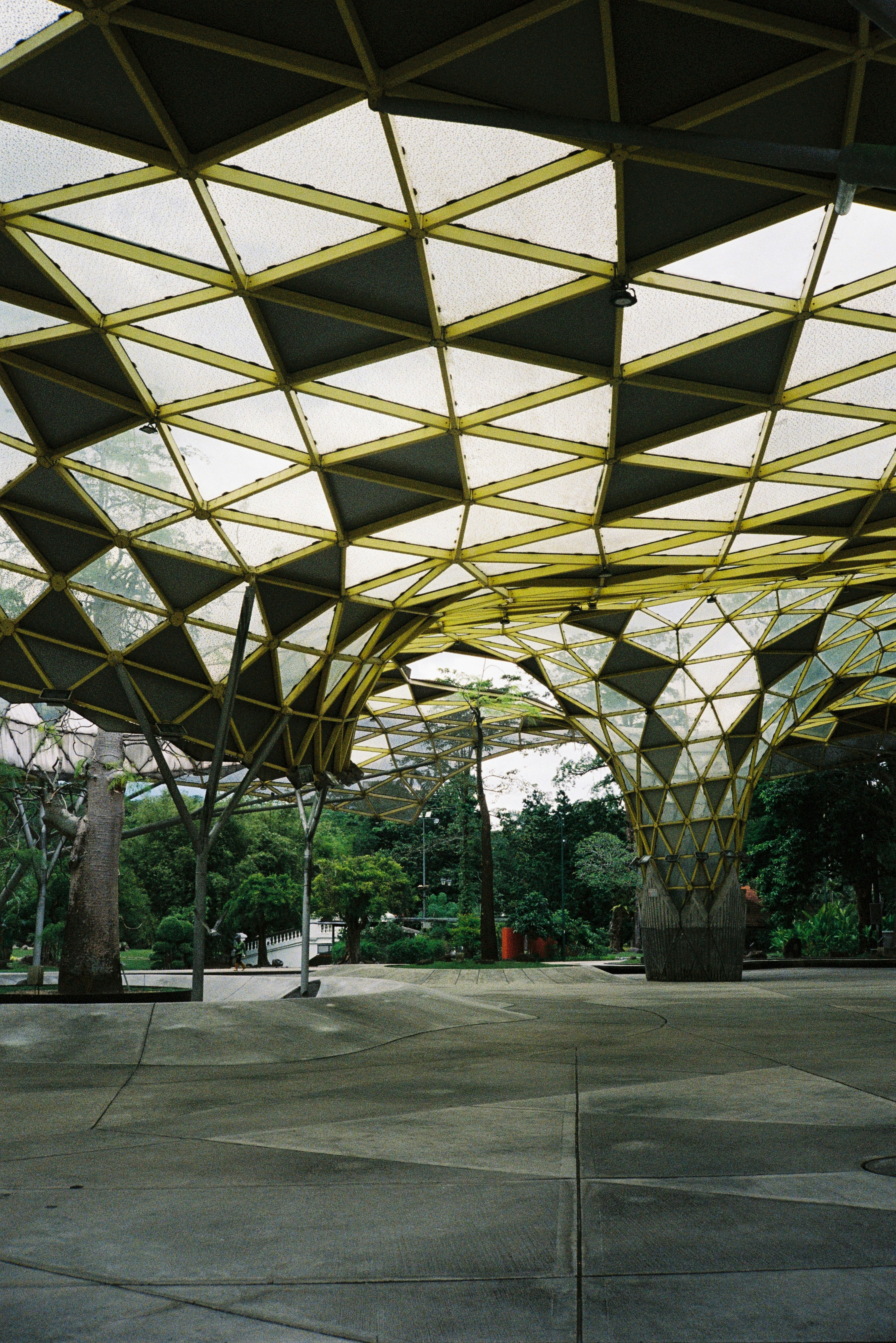 Geometric canopy arches framing a tranquil park opening