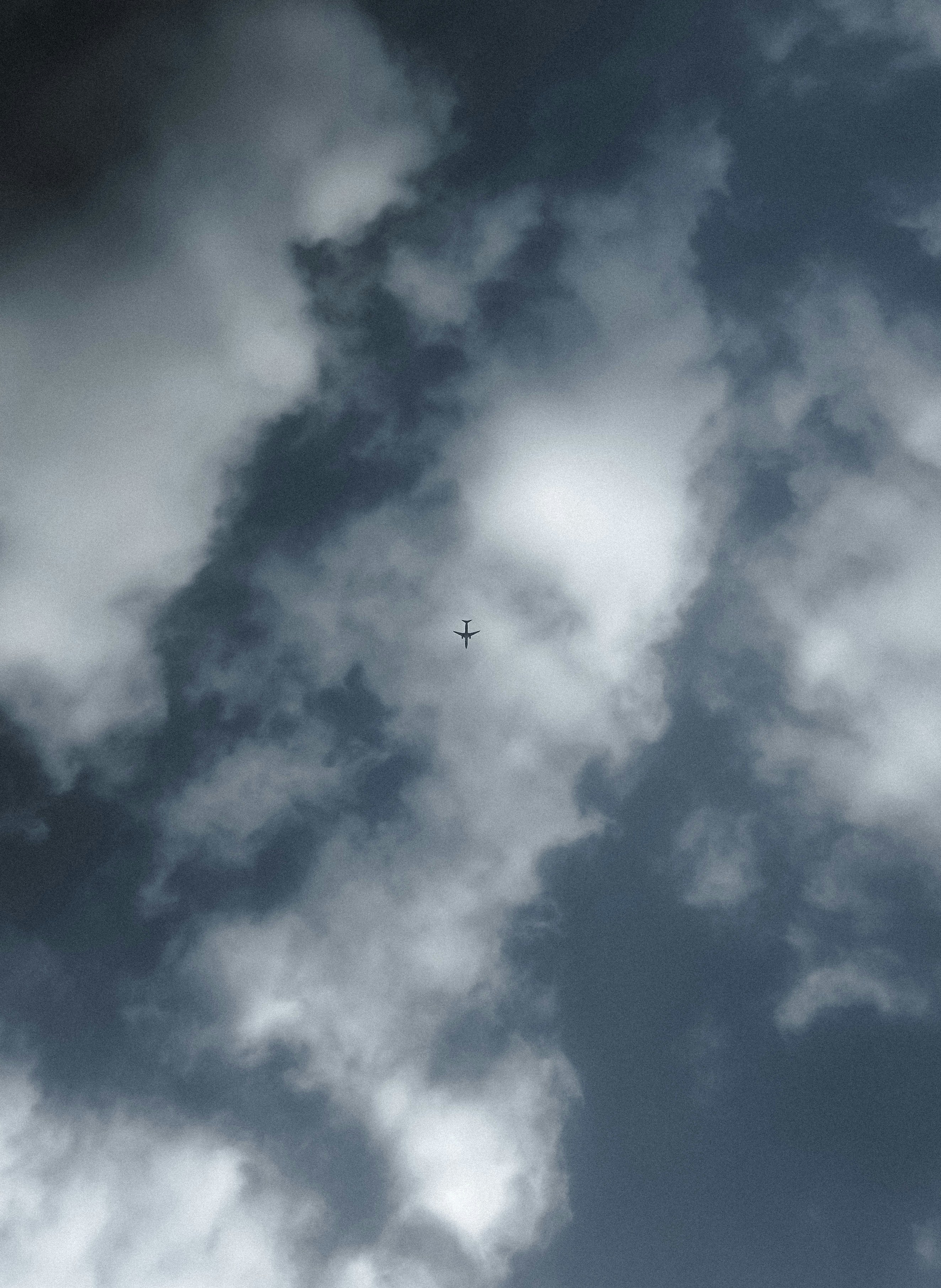 Single Skyward Flight: A Quiet Moment Above Clouds