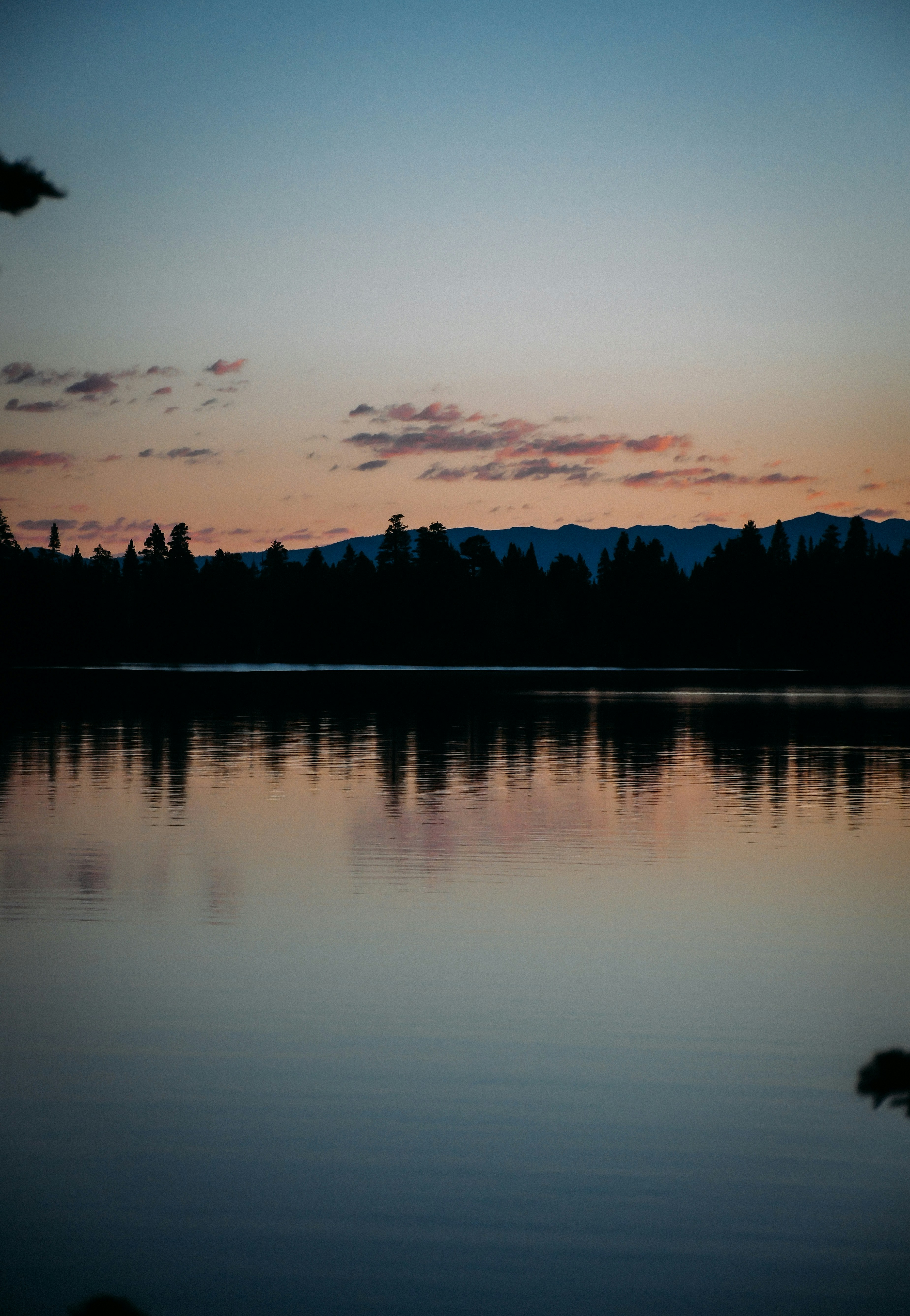 Silenced Horizon: Dusk Over Quiet Lake with Pine Silhouette