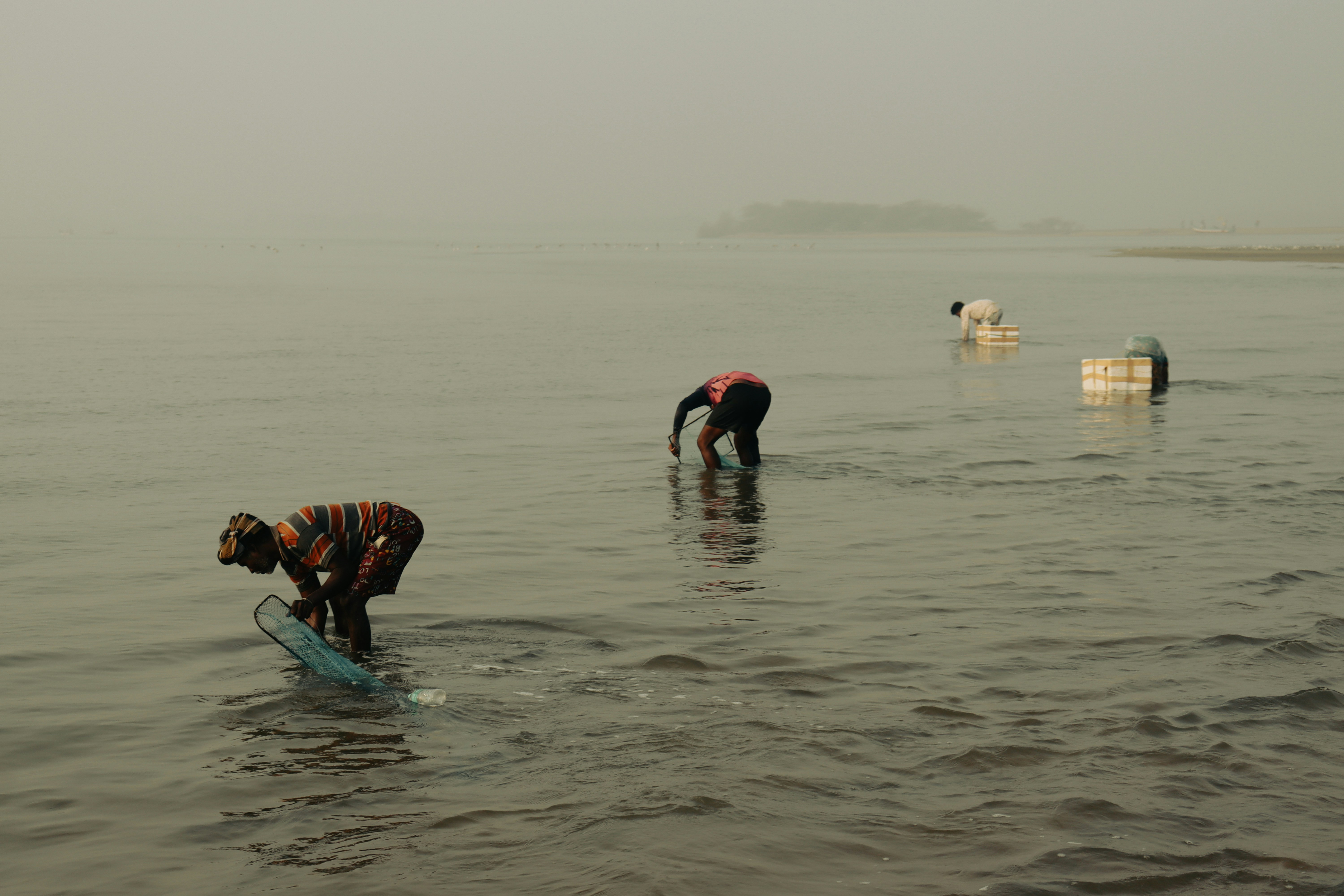 Shoreline Drifters: Surfers and Nets in Misty Tides