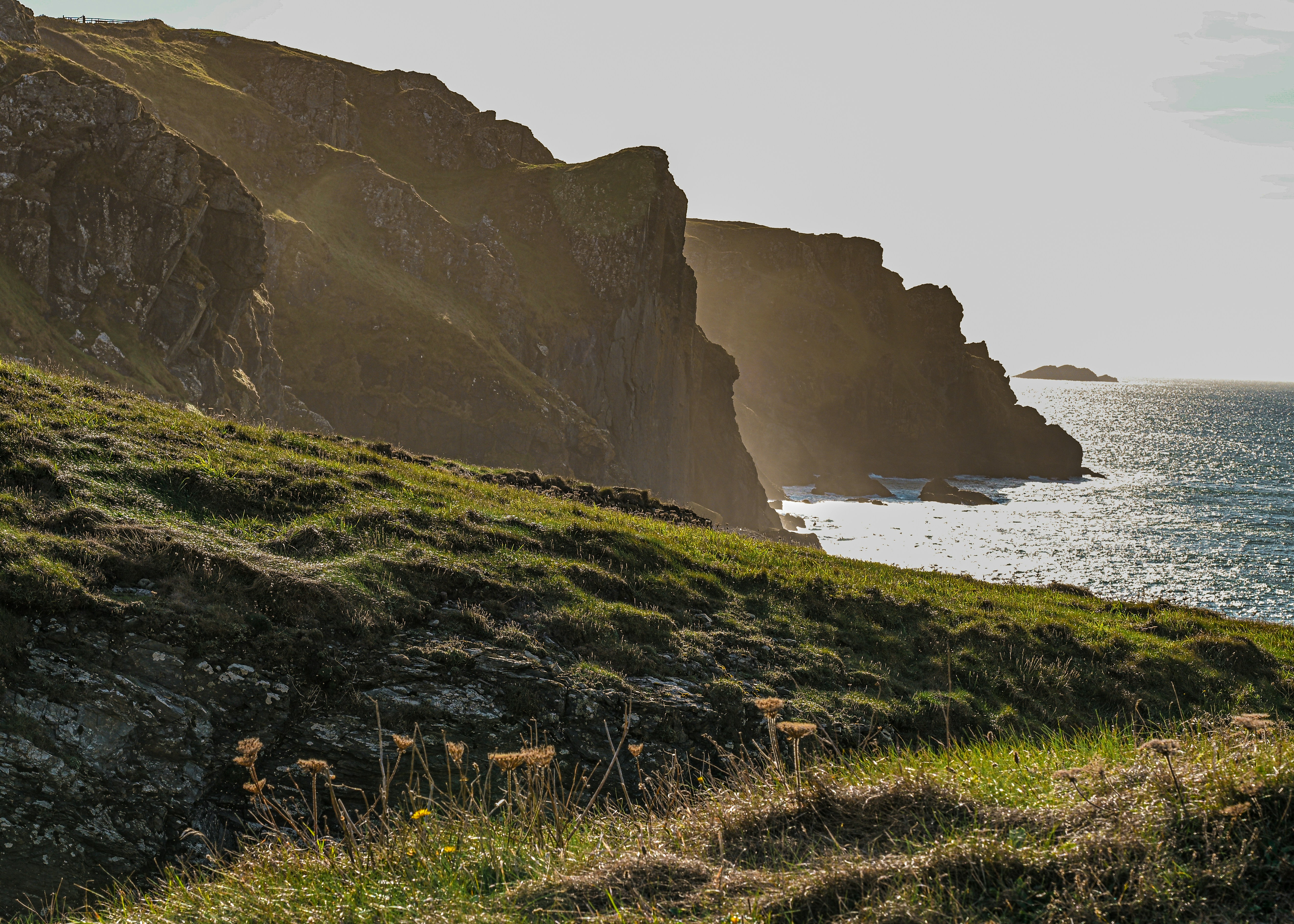 Cliffs at Dusk: Coastal Grassland Framing the Sunlit Sea