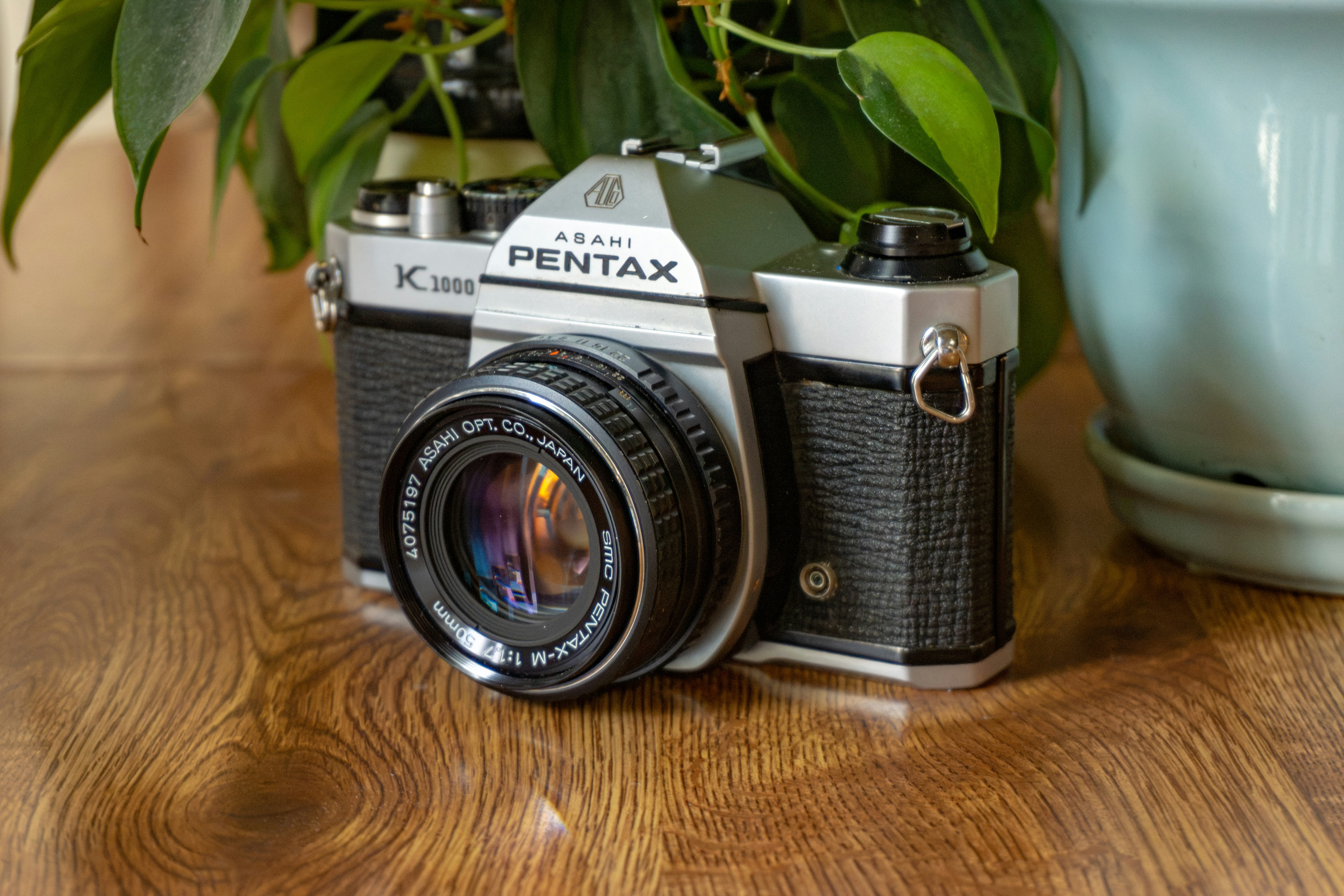 Retrofocus: A Pentax Asahi KX-style SLR Resting Beside a Plant